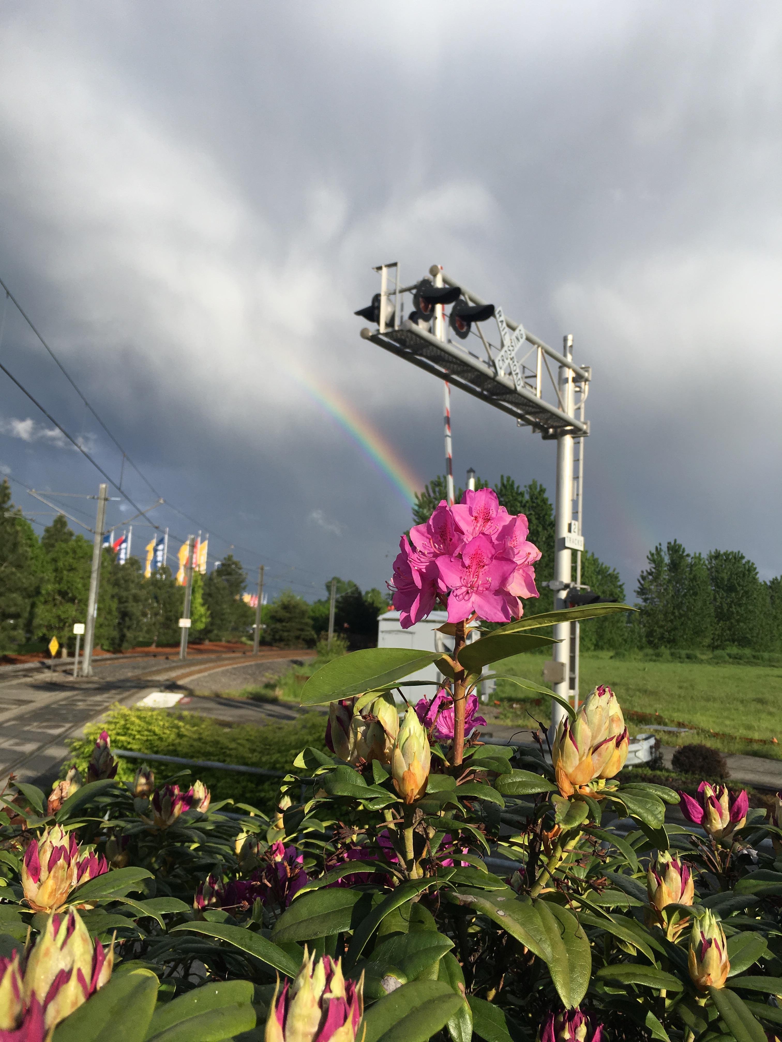 Welcome home to Oregon [OC] | Scrolller