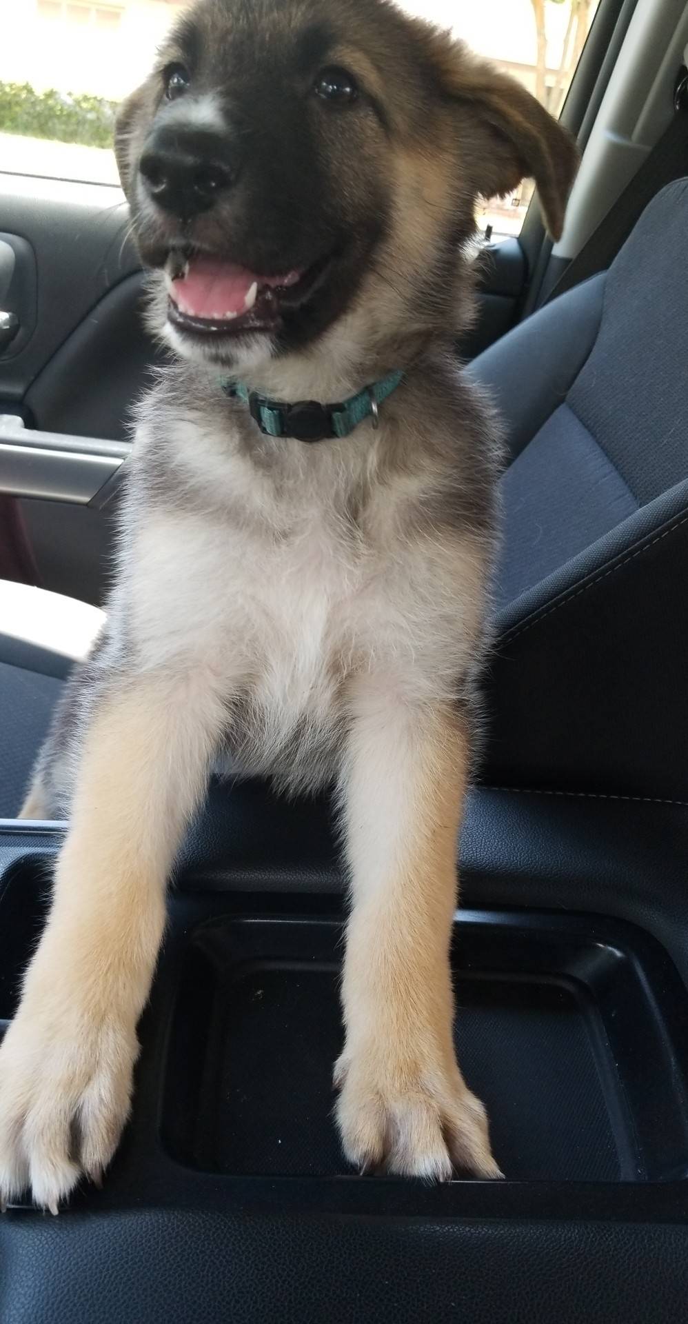 Welcome to the family Roxy | Scrolller