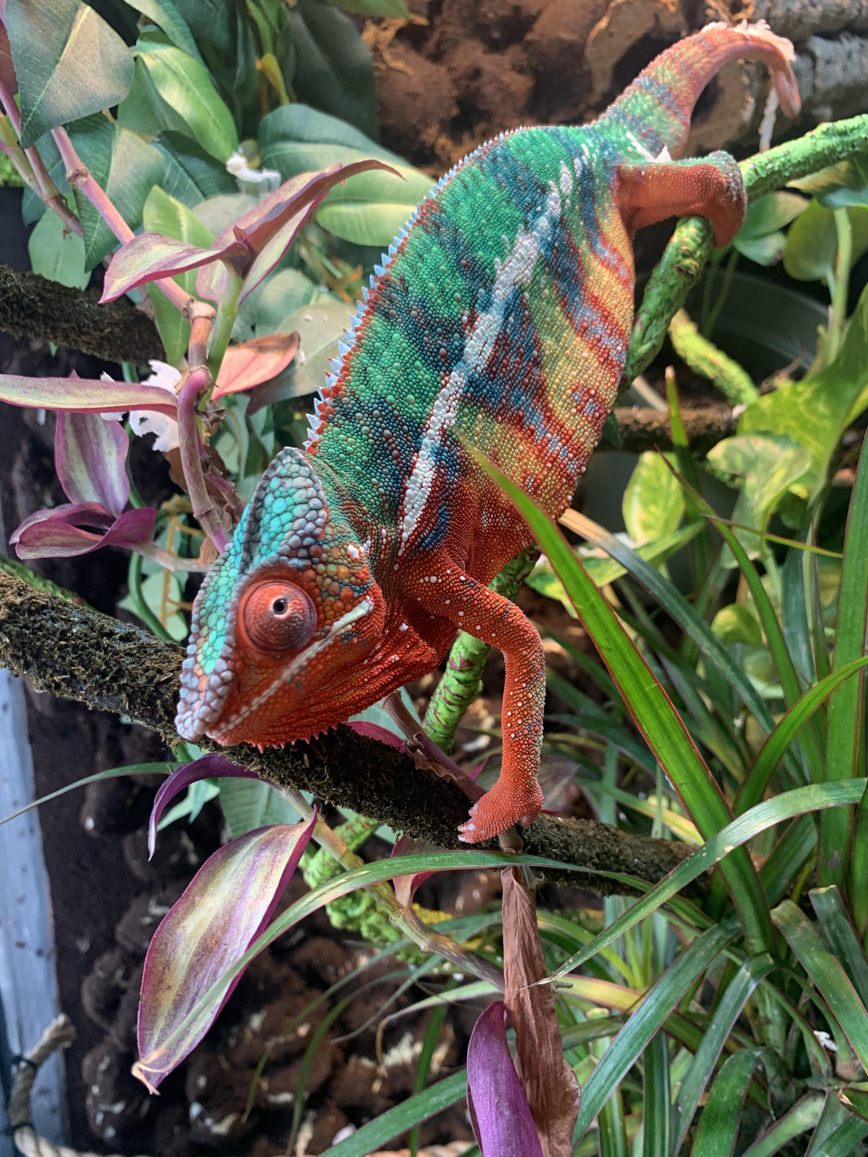 Well hello | Scrolller