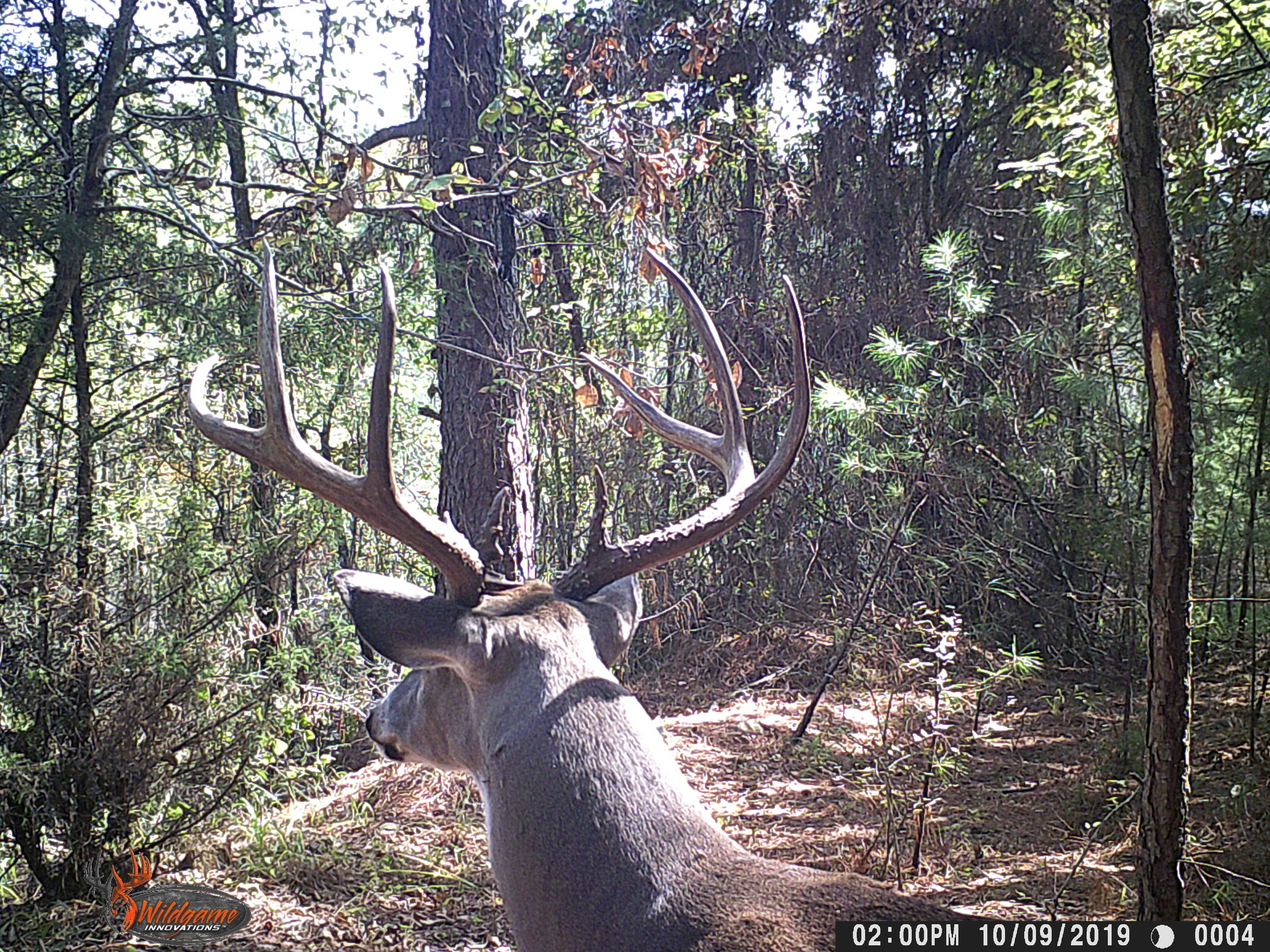 Well hello sir. | Scrolller