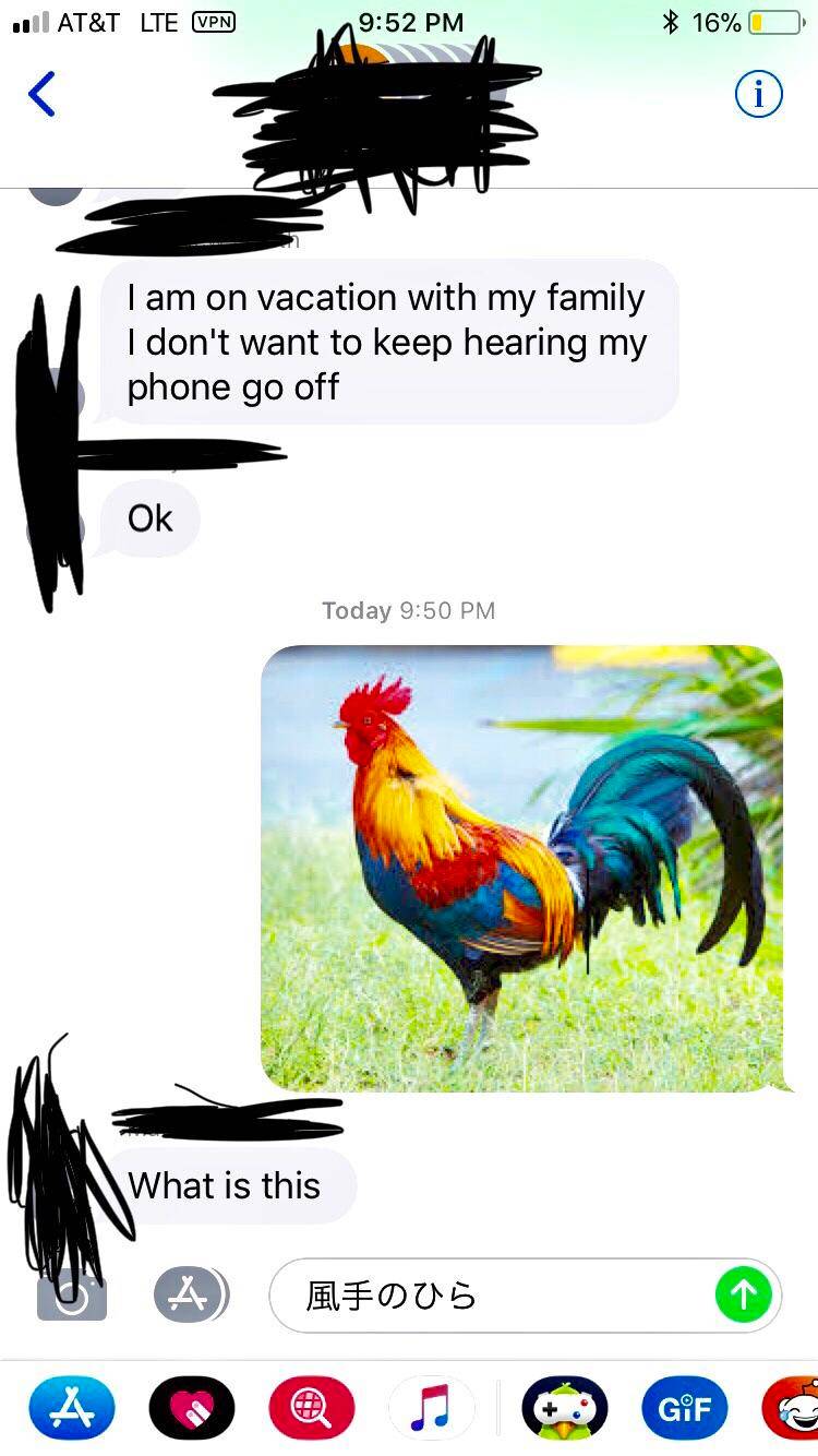 Well I accidentally disturbed the group chat | Scrolller