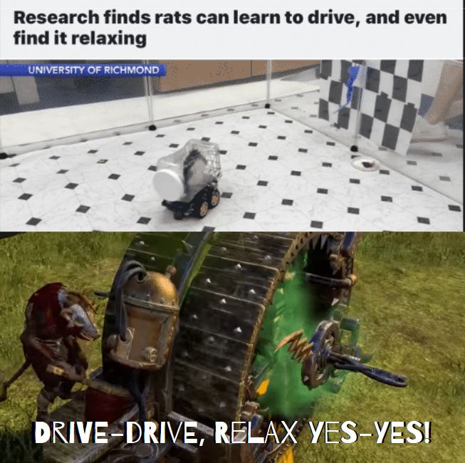 We're all doomed now | Scrolller