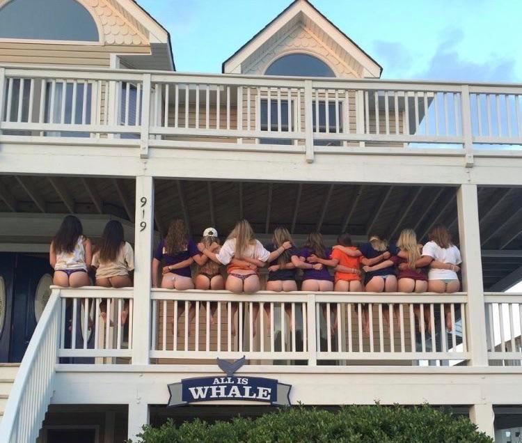 Whale what do we have here | Scrolller