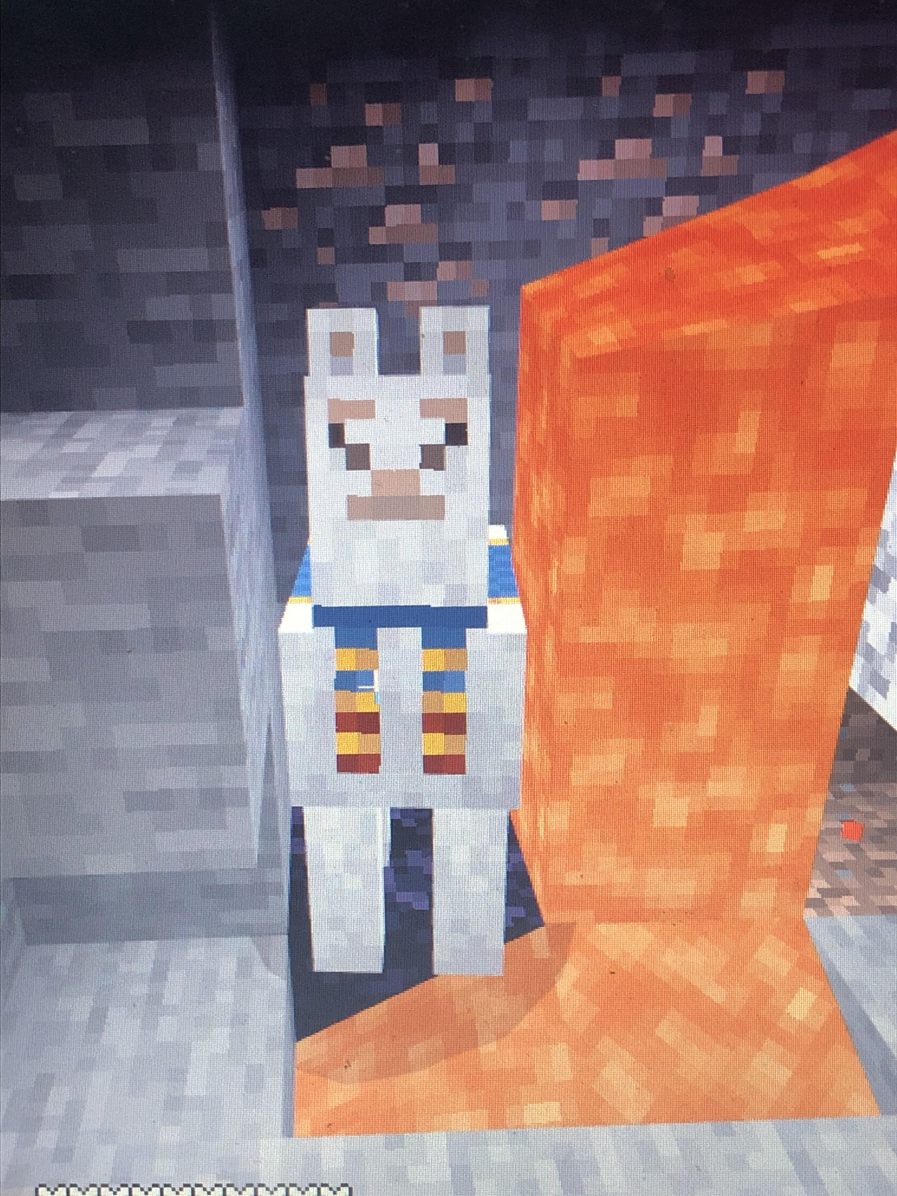 What a risky lama | Scrolller