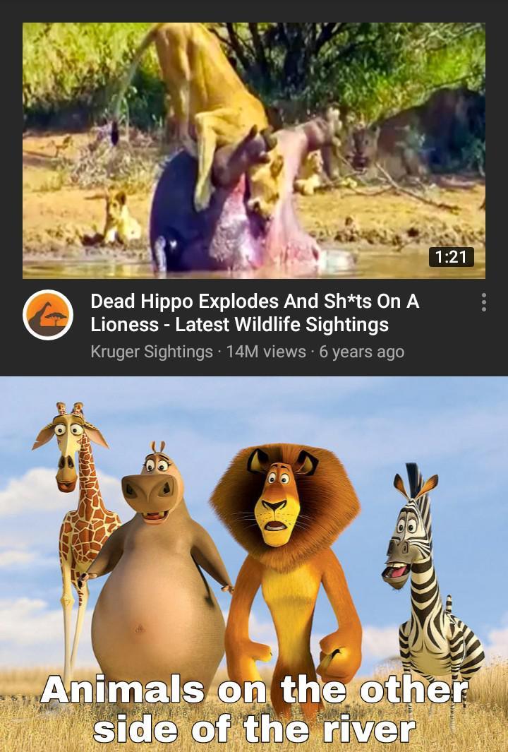 What a sight | Scrolller