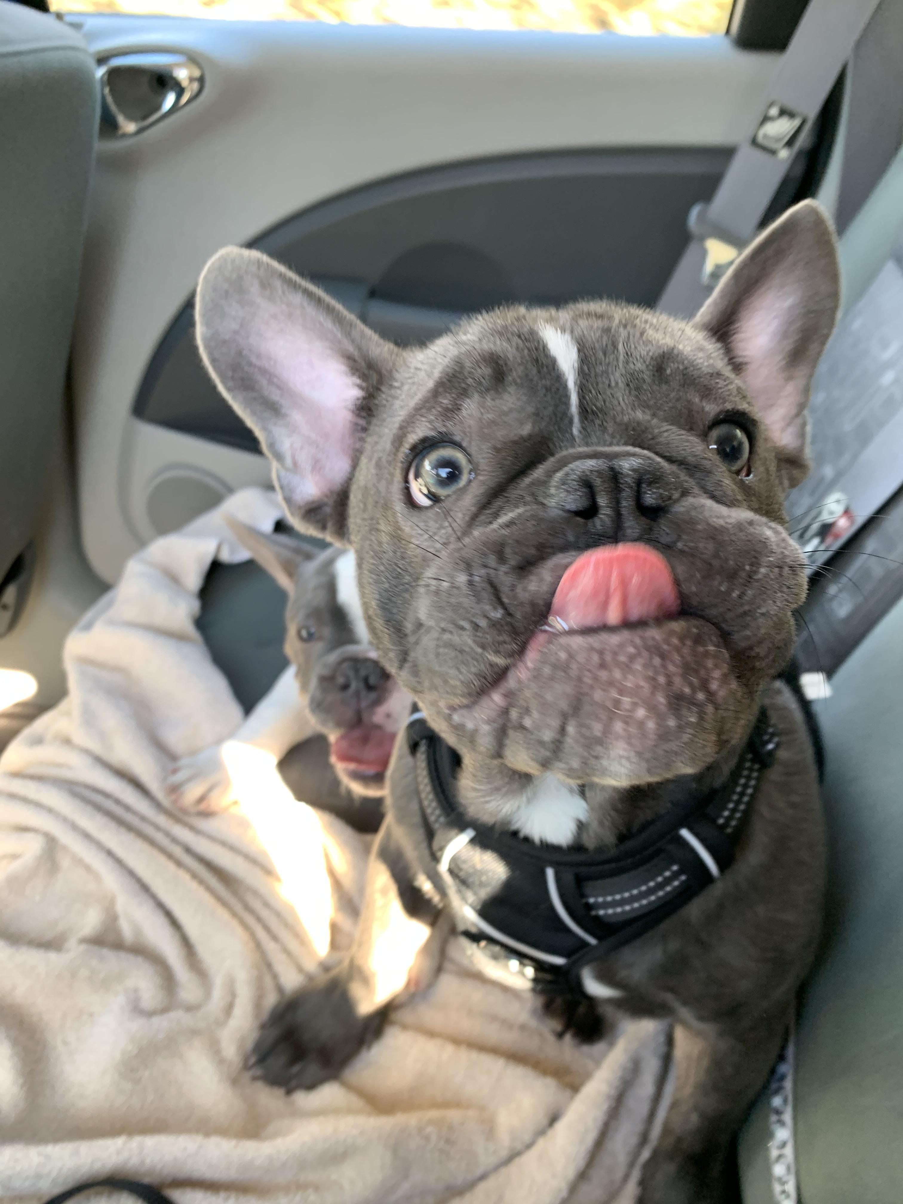 What are you doing buddy?! | Scrolller