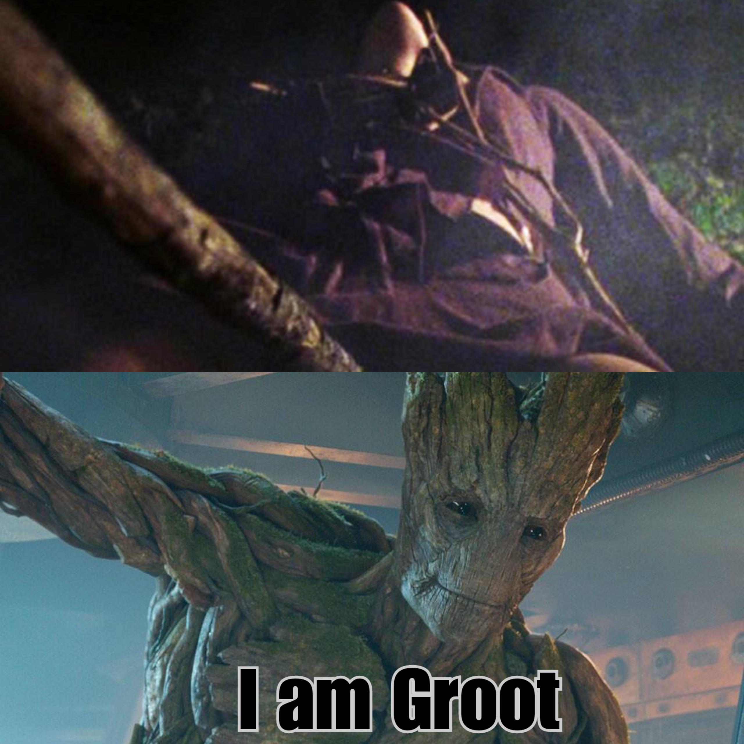 What are you doing, Step-Groot? | Scrolller