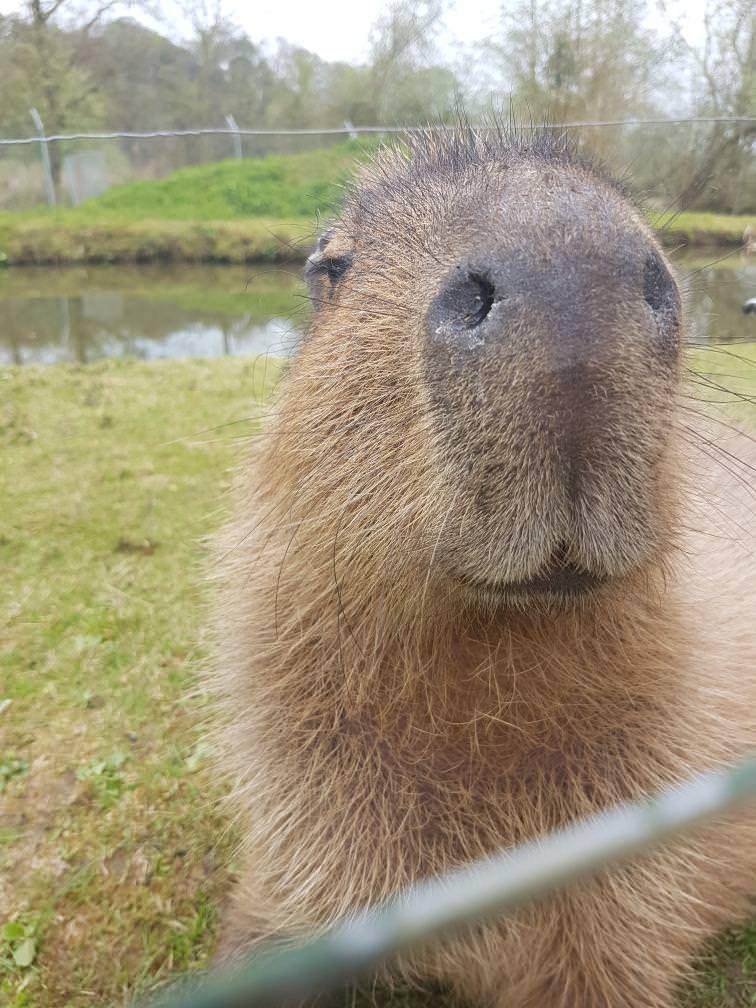 What cha got there!? | Scrolller