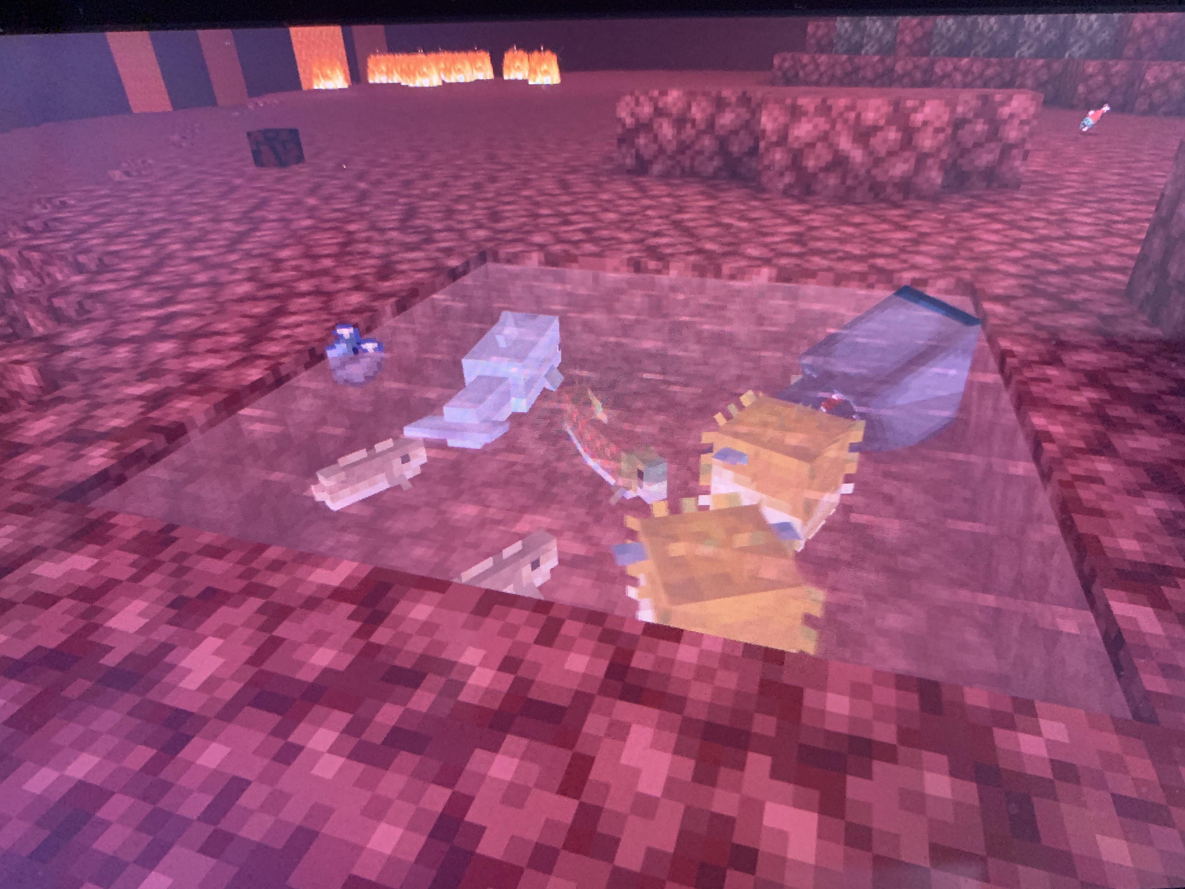 What dimension am I at? | Scrolller