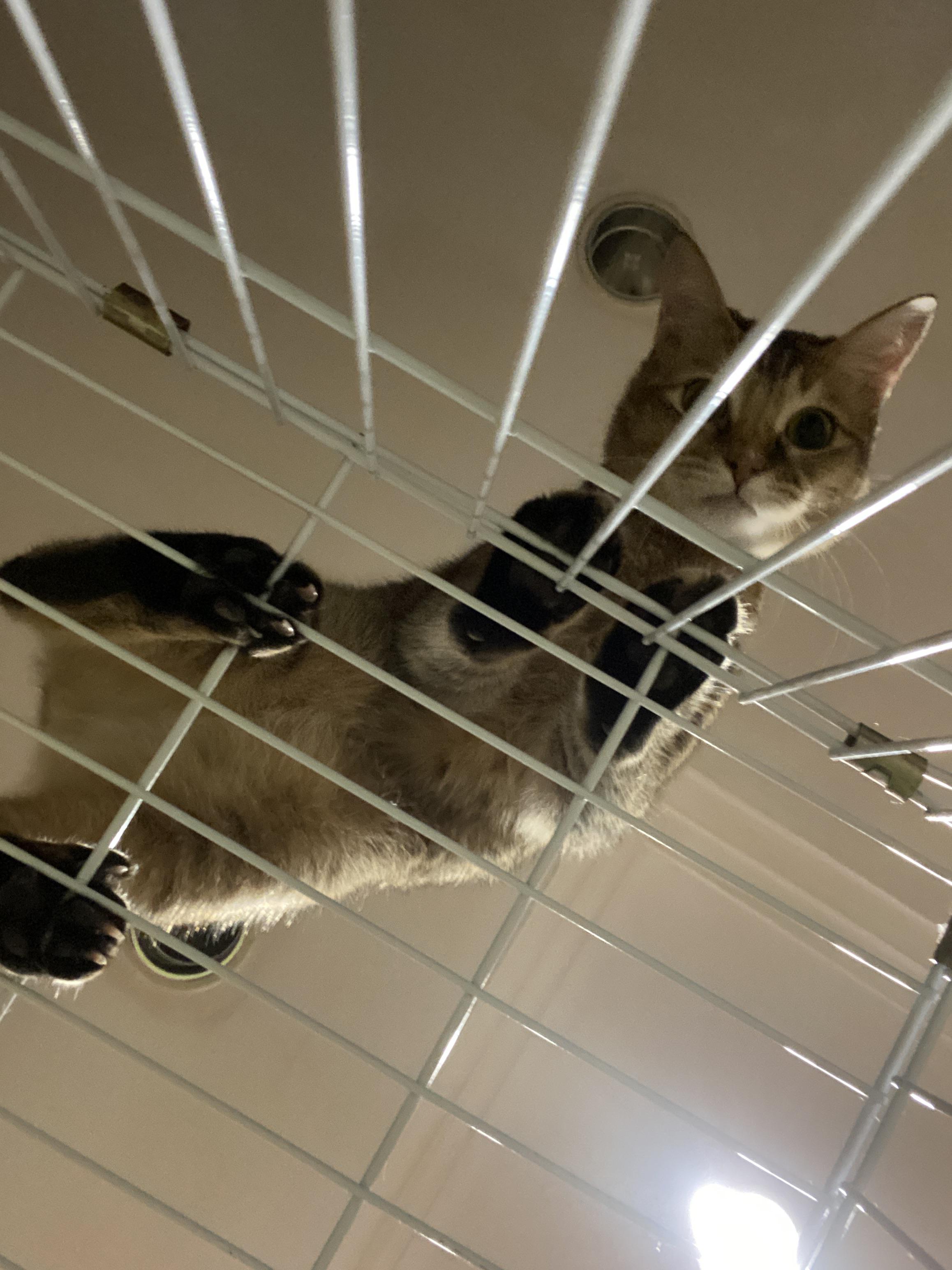 What do i do? | Scrolller