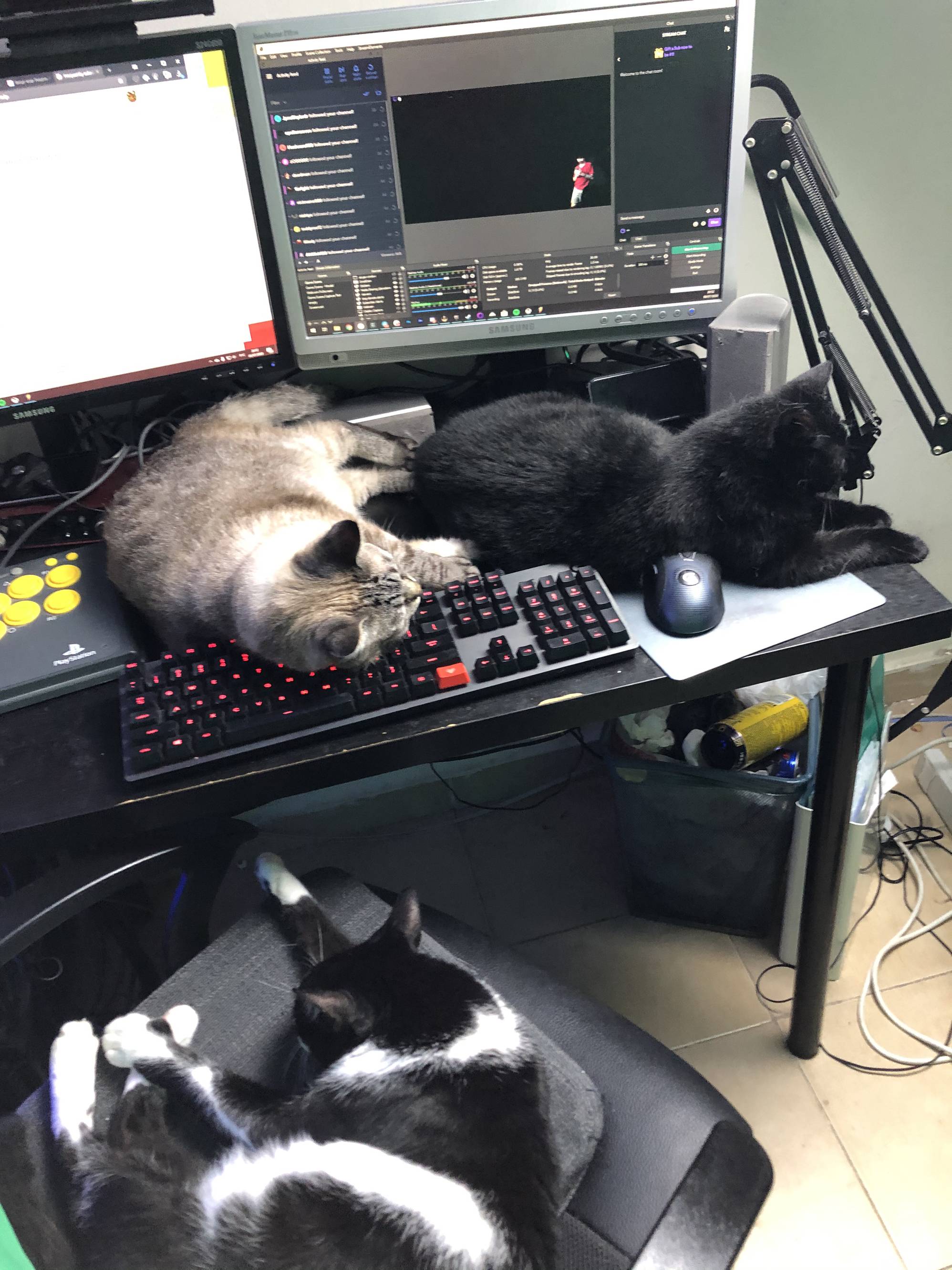 What do you mean, “gaming machine”? | Scrolller