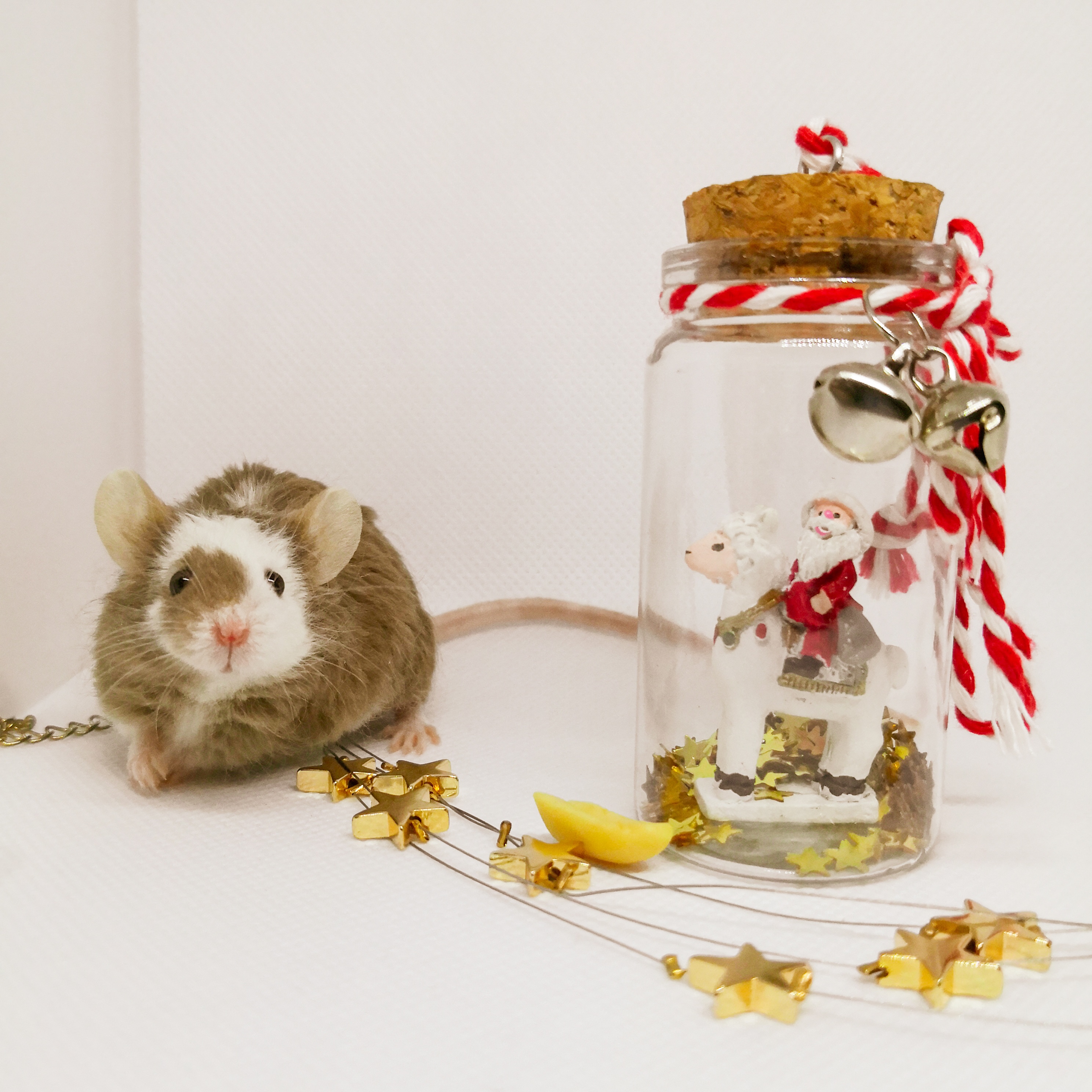 "What do you mean I'm on the naughty list?!" | Scrolller