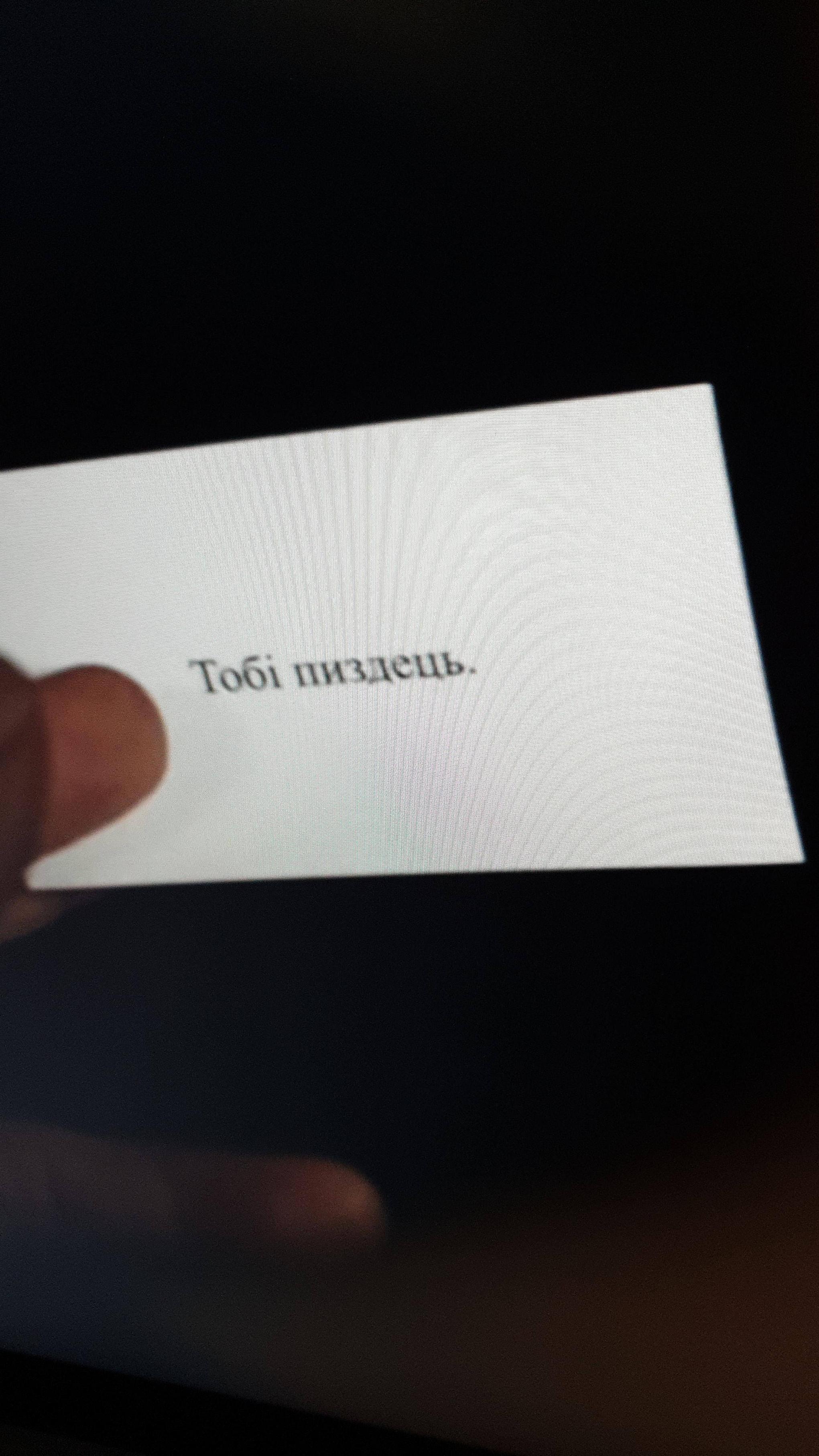 What does the bussiness card in the pilot say? | Scrolller