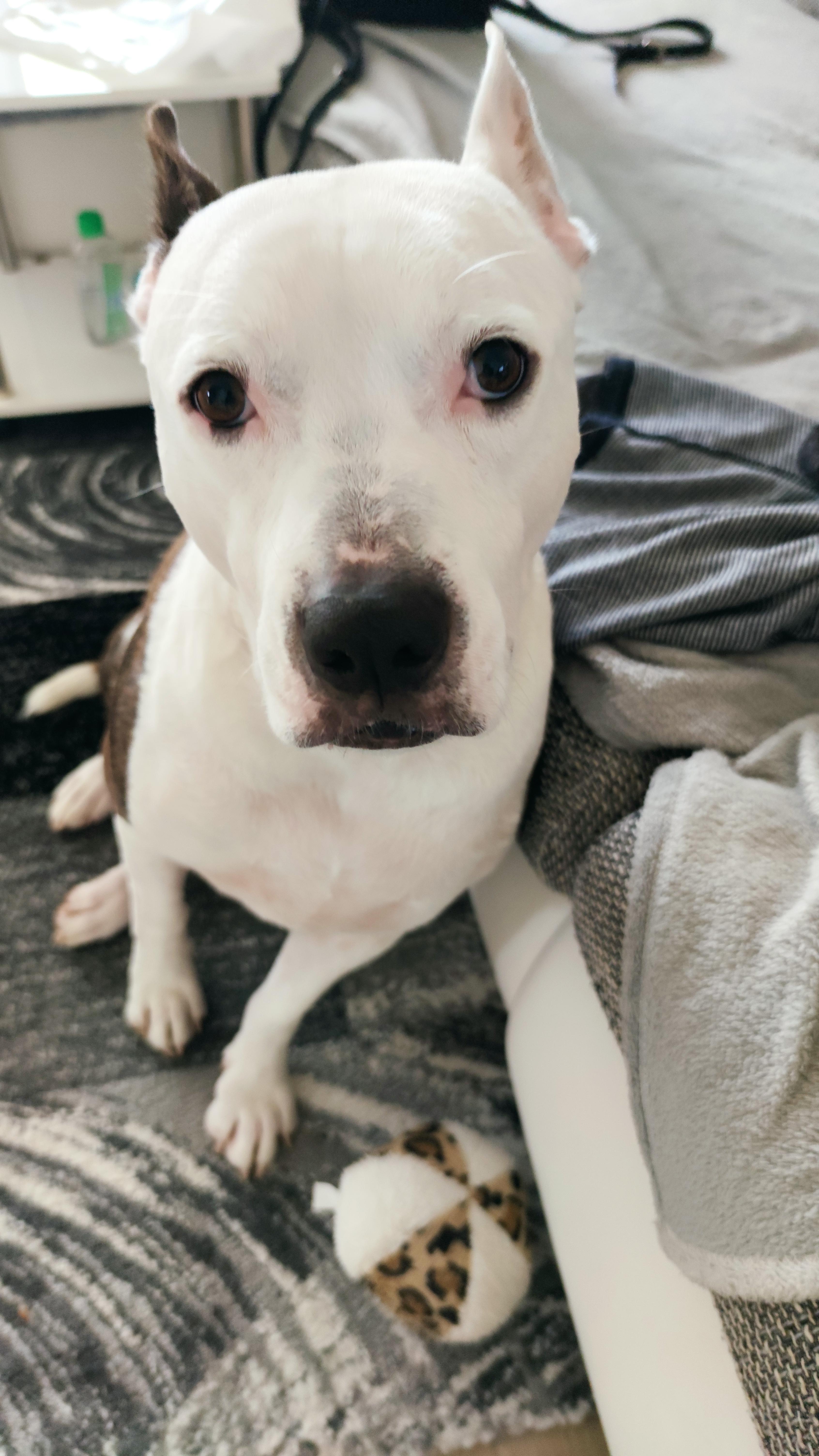 What does this expression tell you...? | Scrolller