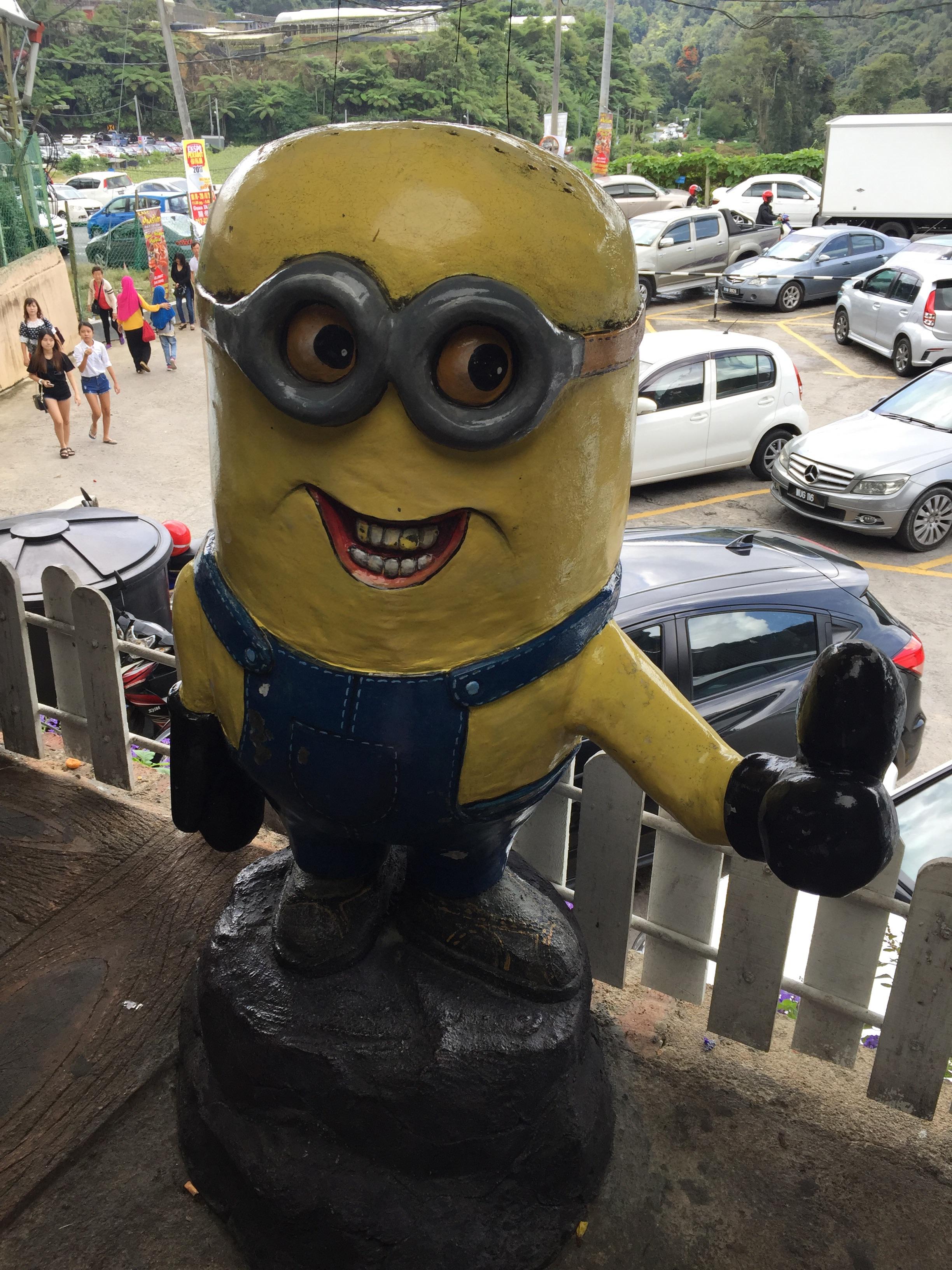 What happened to this minion? | Scrolller