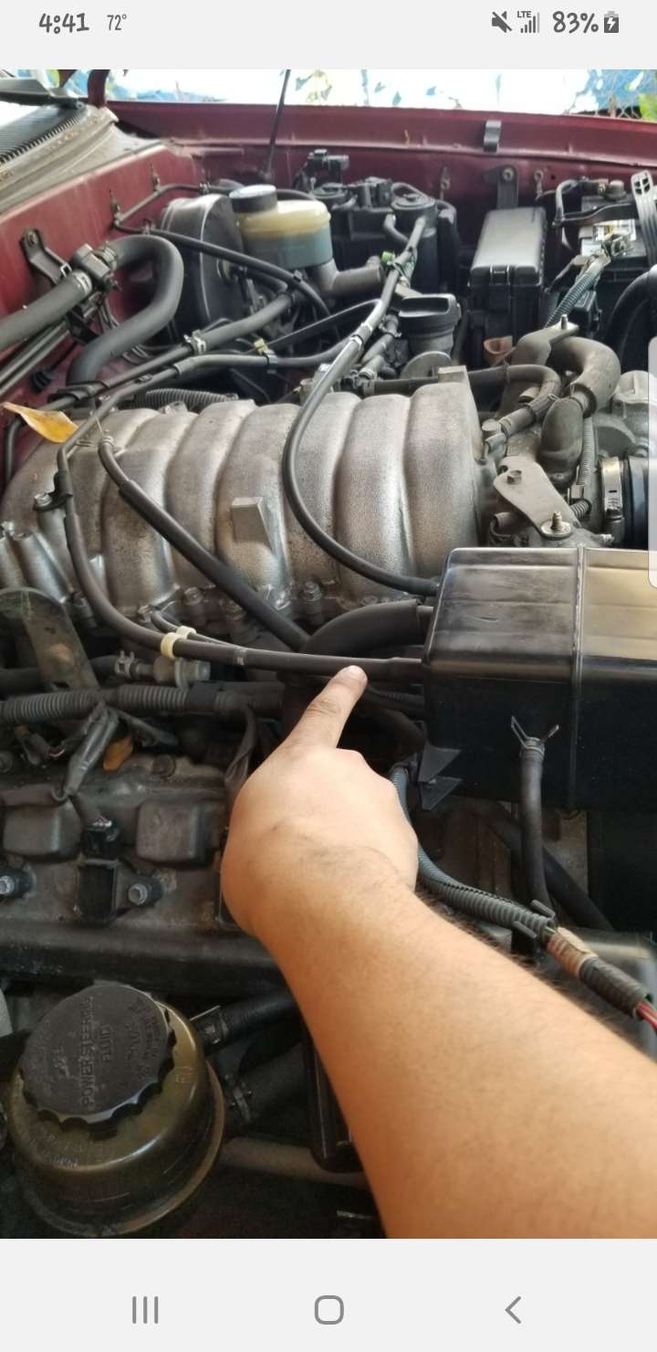 What hose is this? | Scrolller