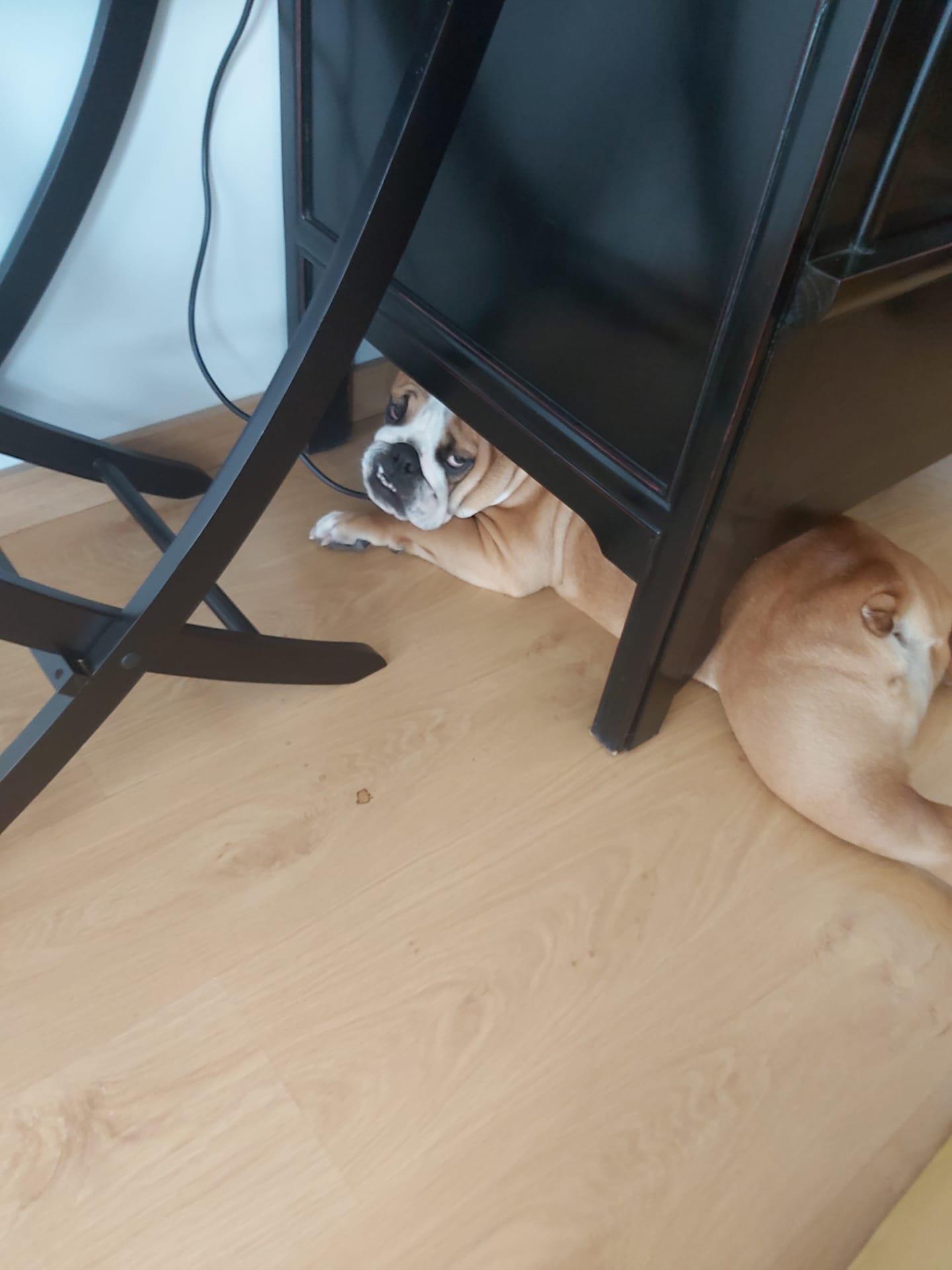 what ? Im looking for something!! | Scrolller