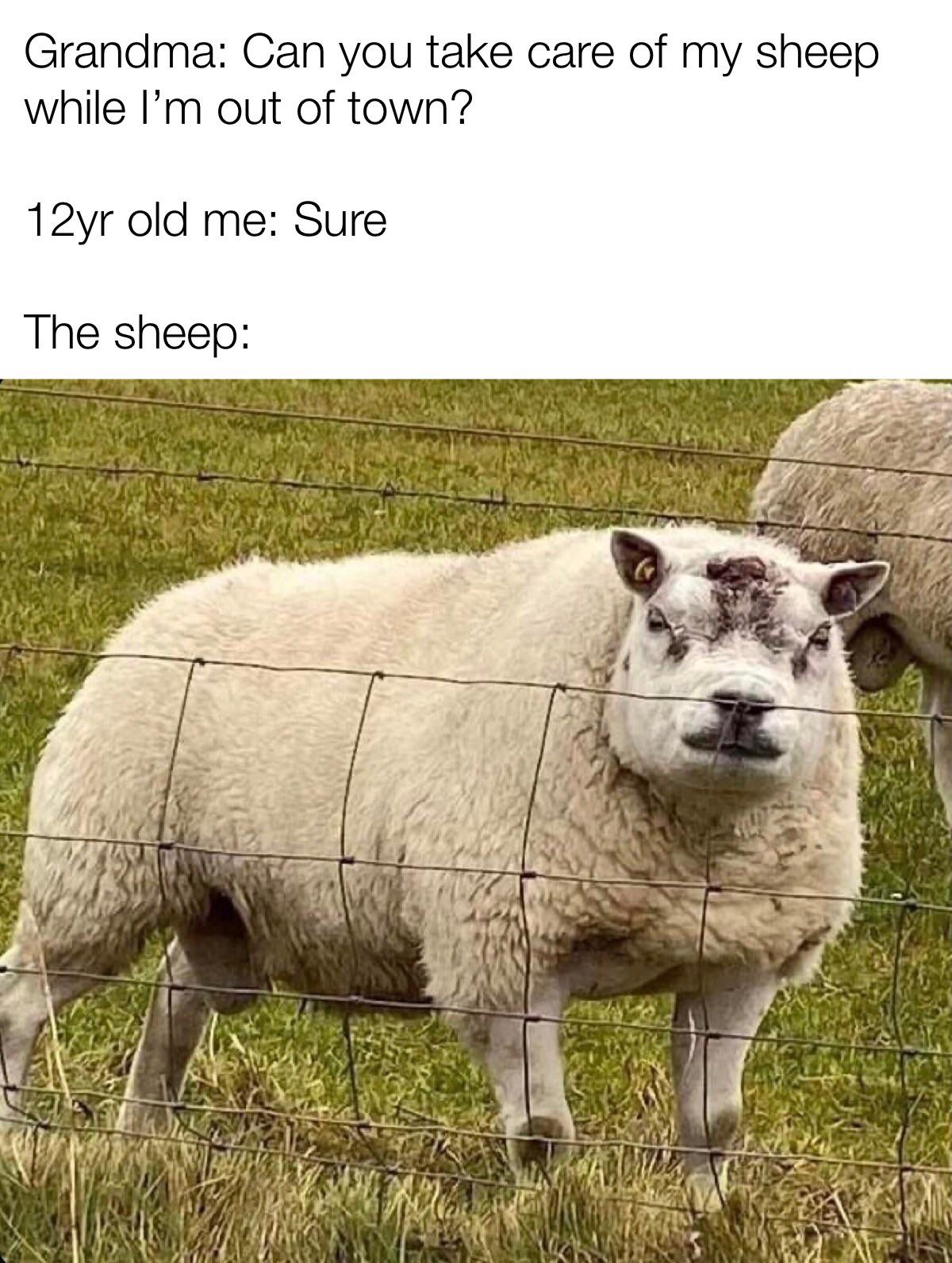 What is she feeding him? | Scrolller