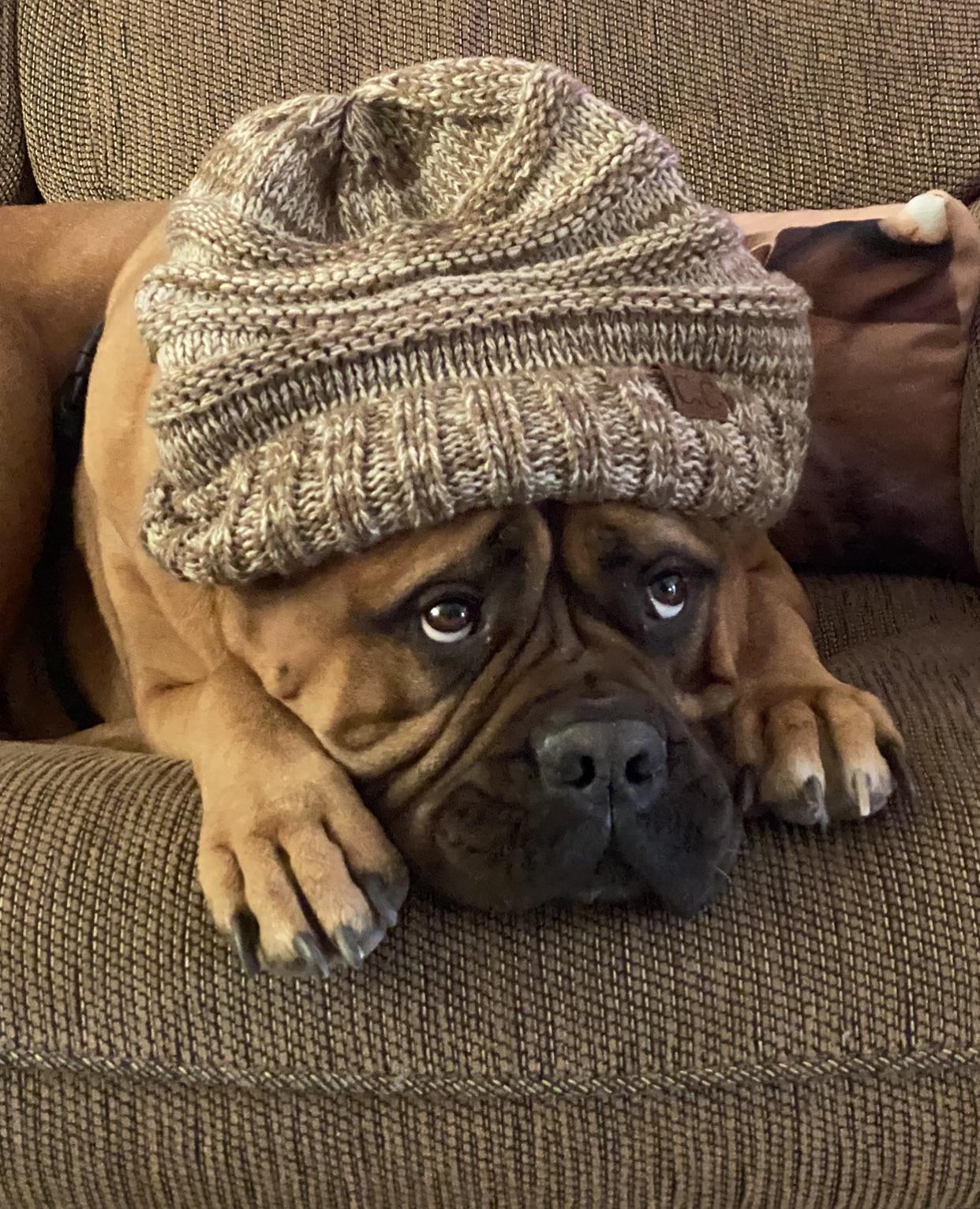 What is this thing on my head 😆 | Scrolller