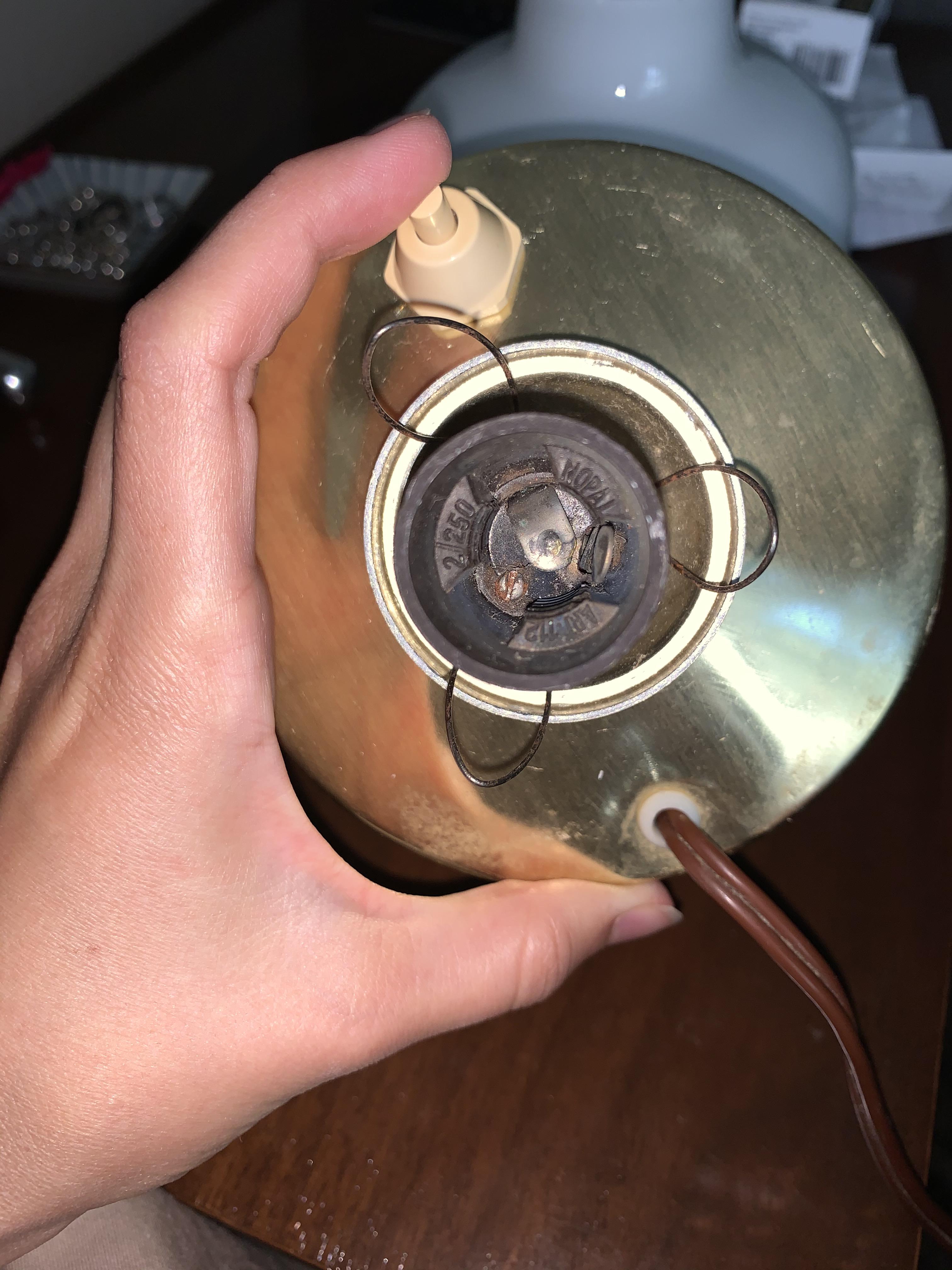 What kind of lightbulb? Got this from the EU. | Scrolller