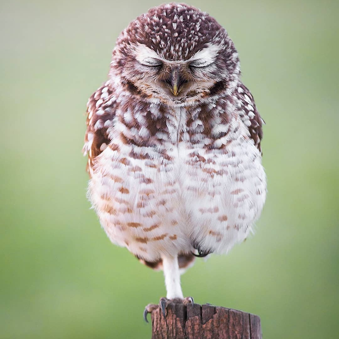 What she is thinking? | Scrolller