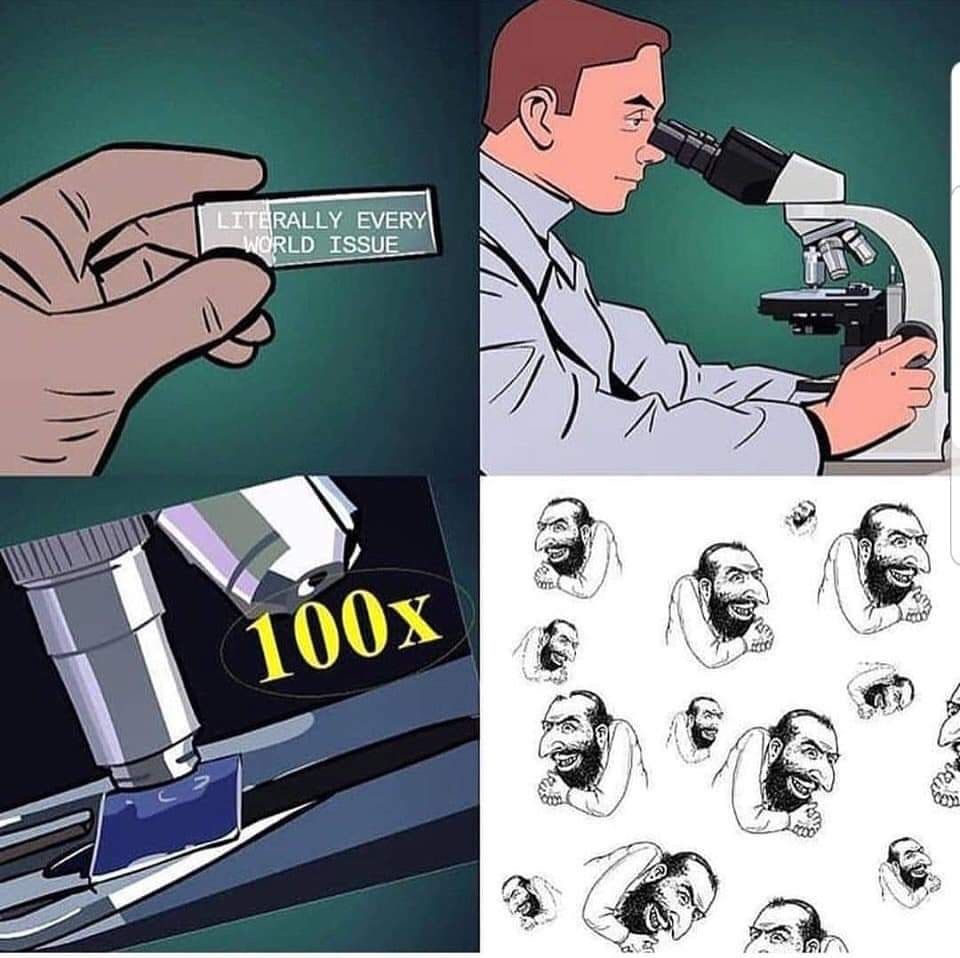 What the hell? | Scrolller