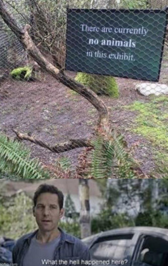 What the hell.... | Scrolller