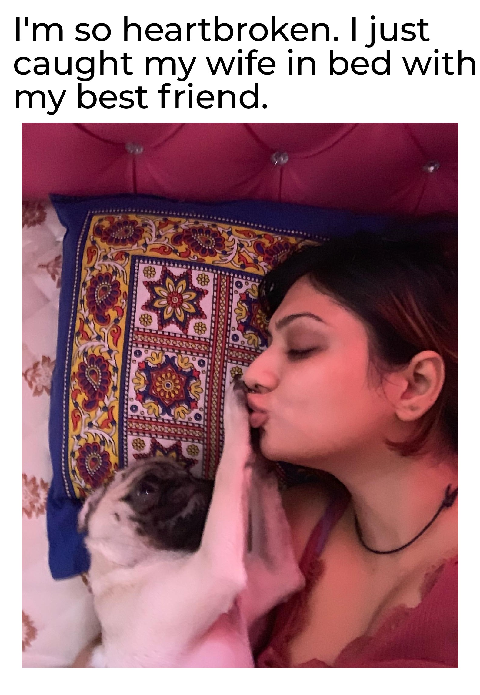 What to do now | Scrolller