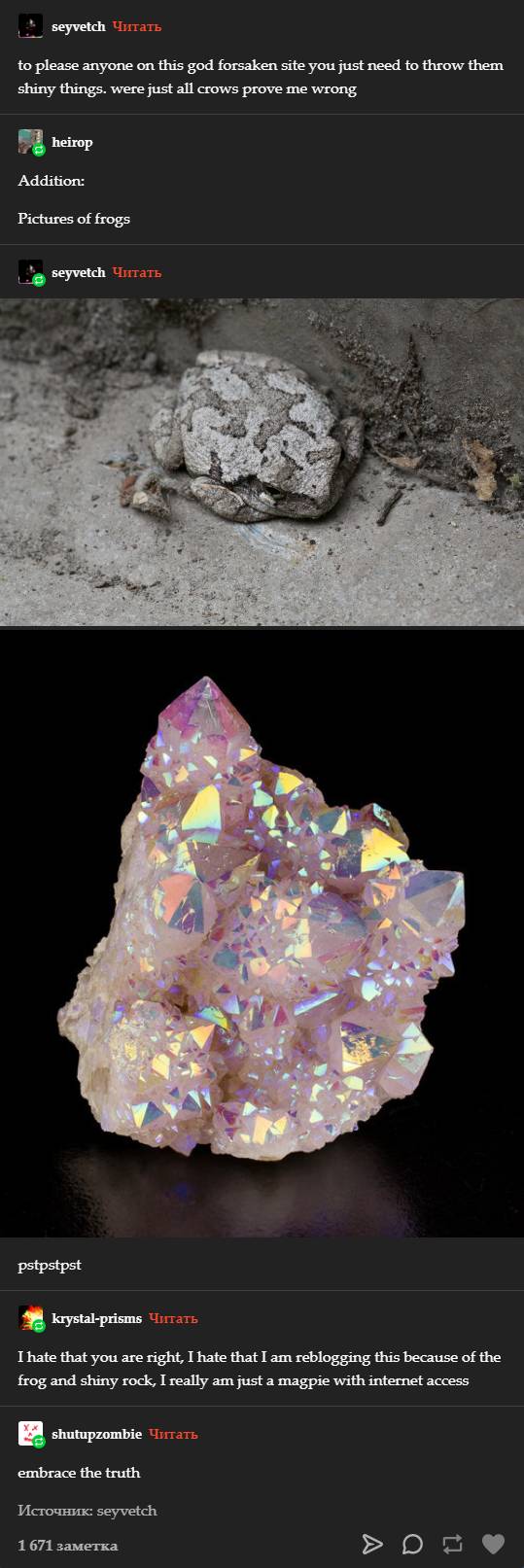 what to lure tumblrer with | Scrolller