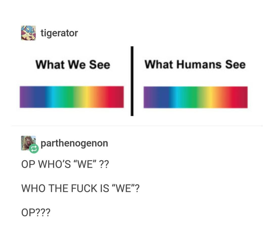 What We See Vs What Humans See Scrolller 3372