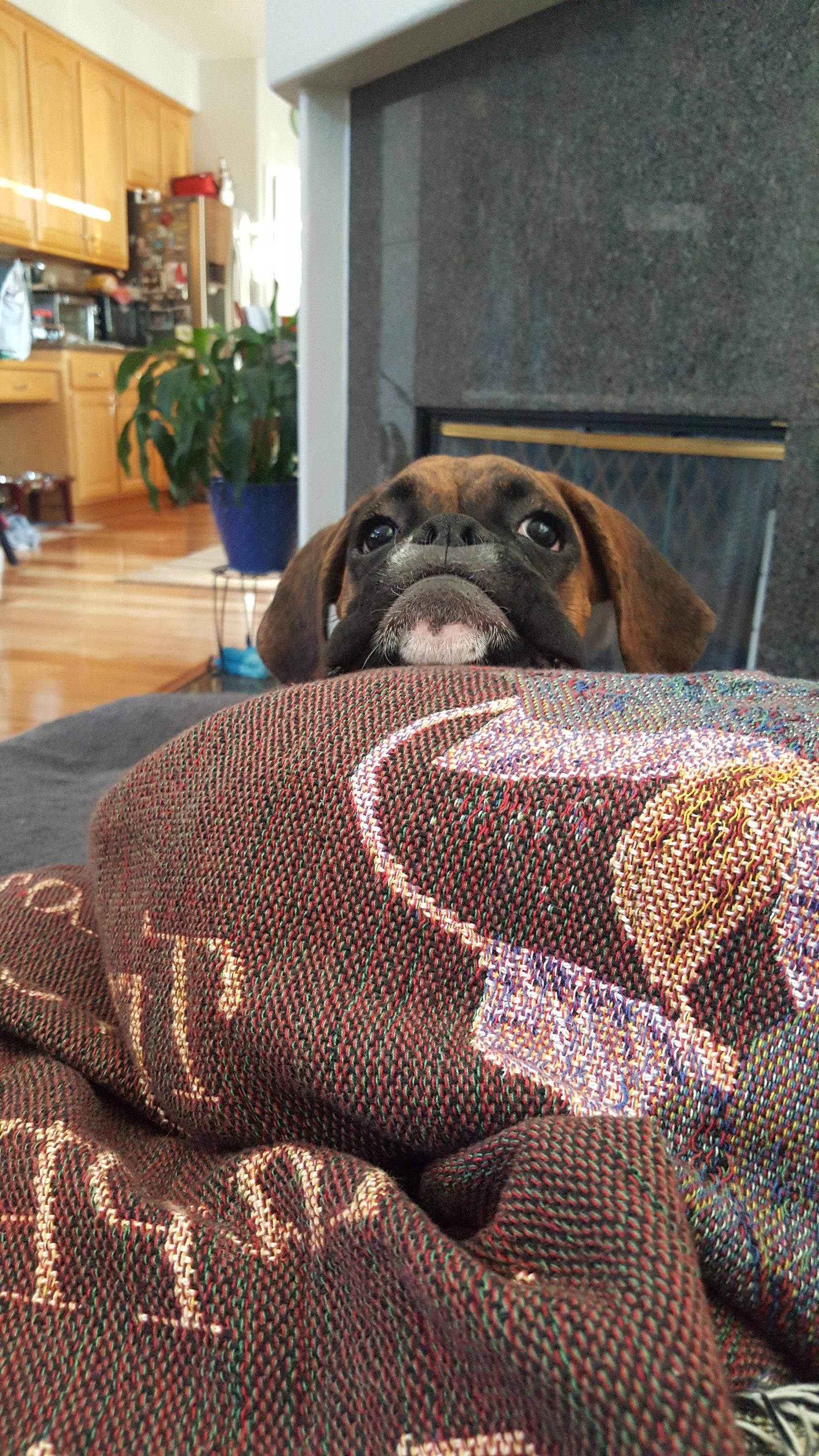 Whatcha doin'? | Scrolller