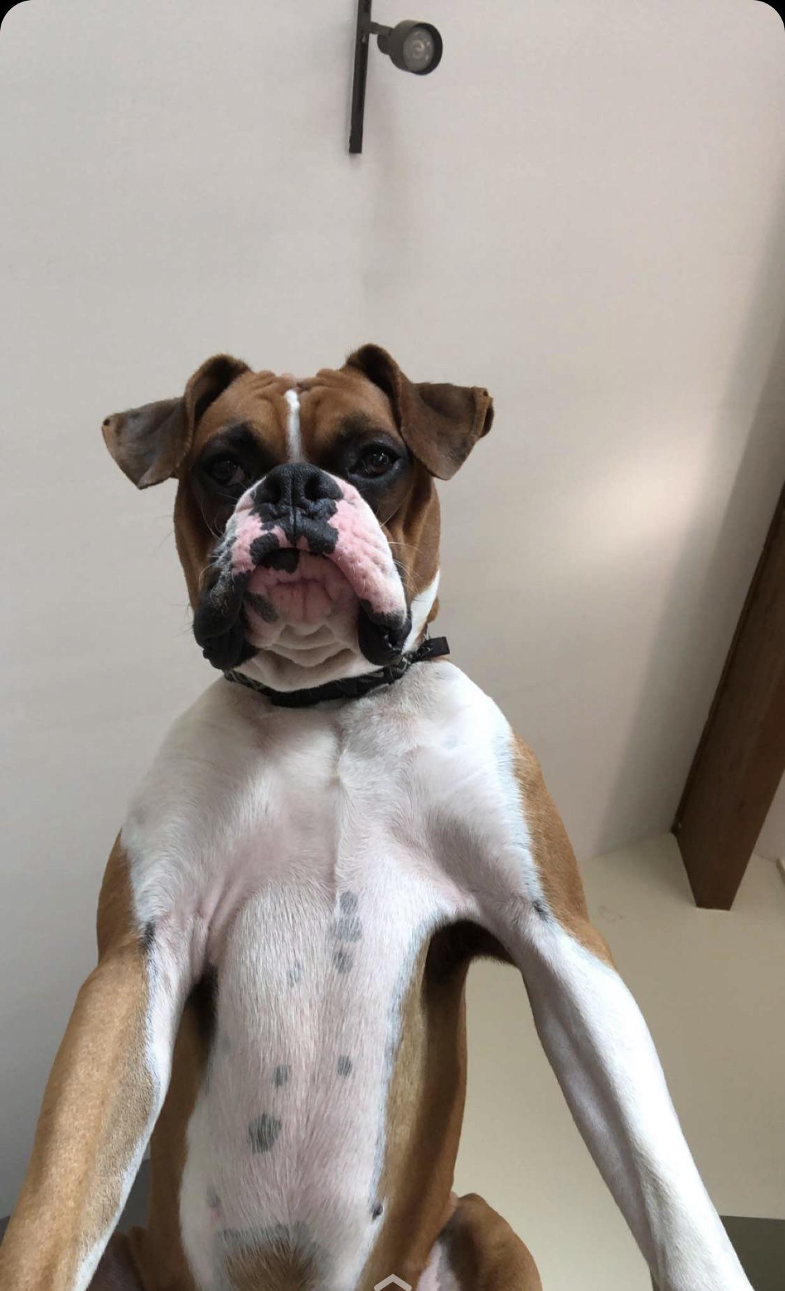 Whatcha eating? | Scrolller