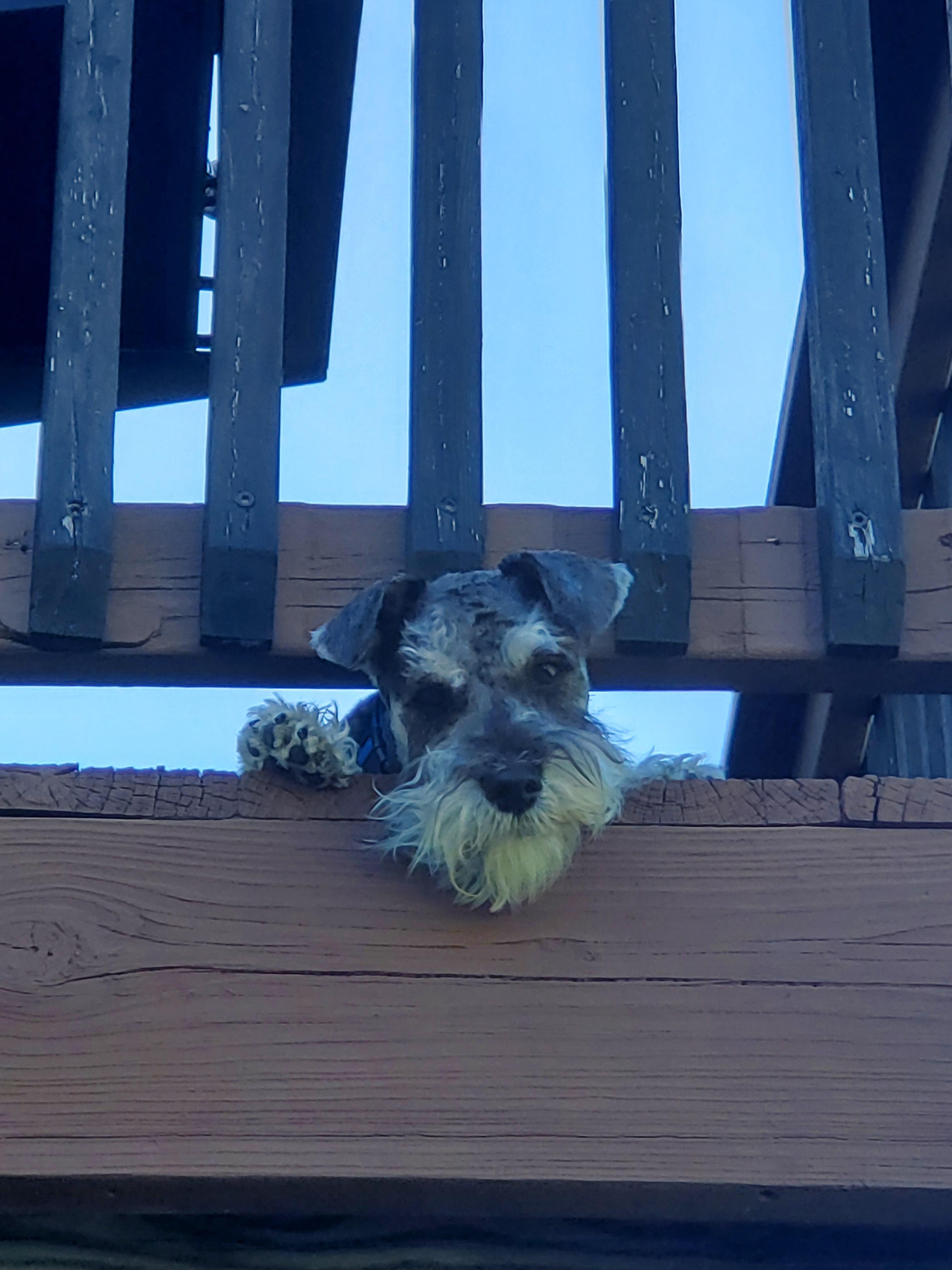 Whatcha grillin' down there??? | Scrolller