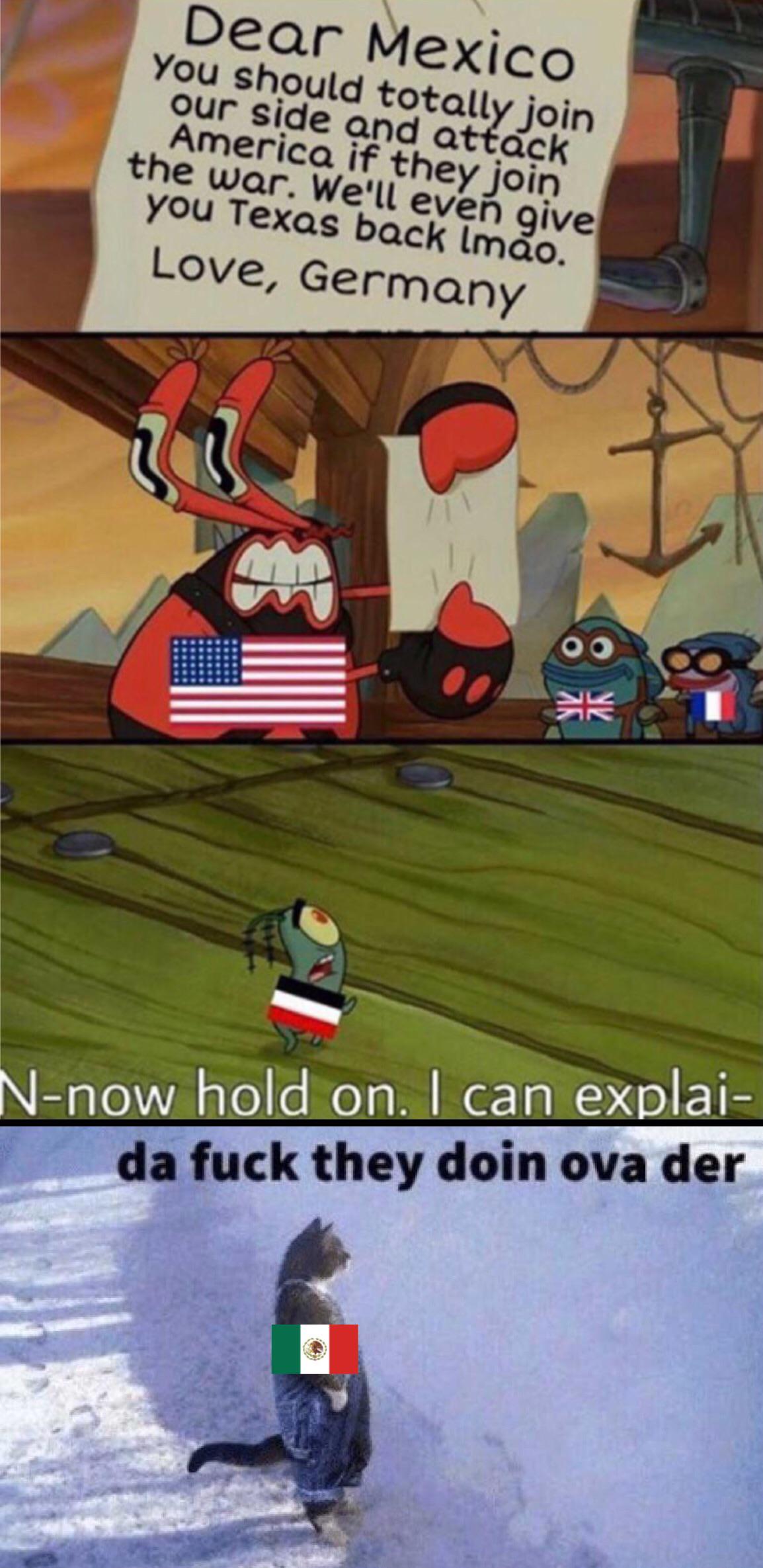 Whatcha you got there | Scrolller