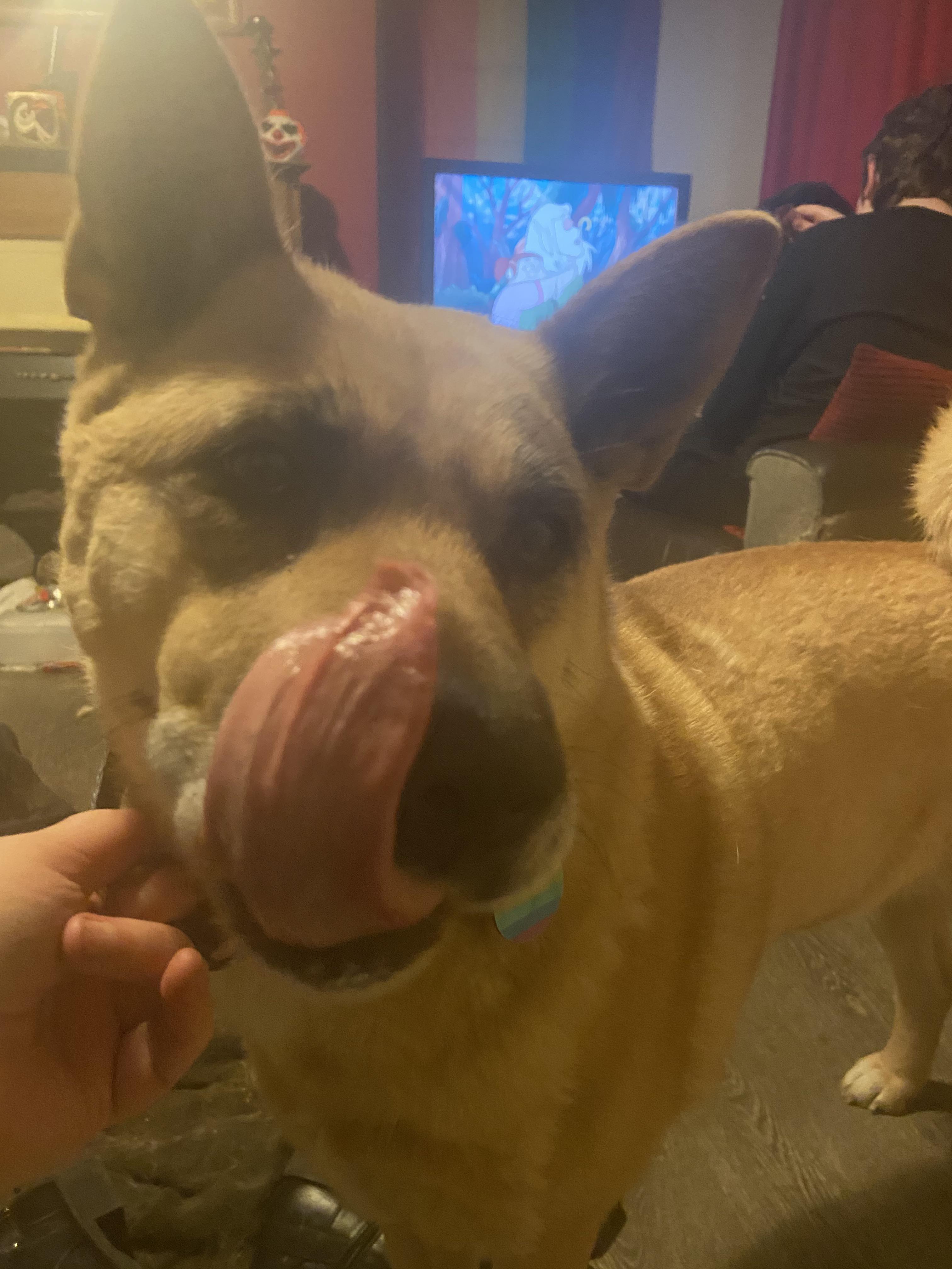 Whatever this is! | Scrolller