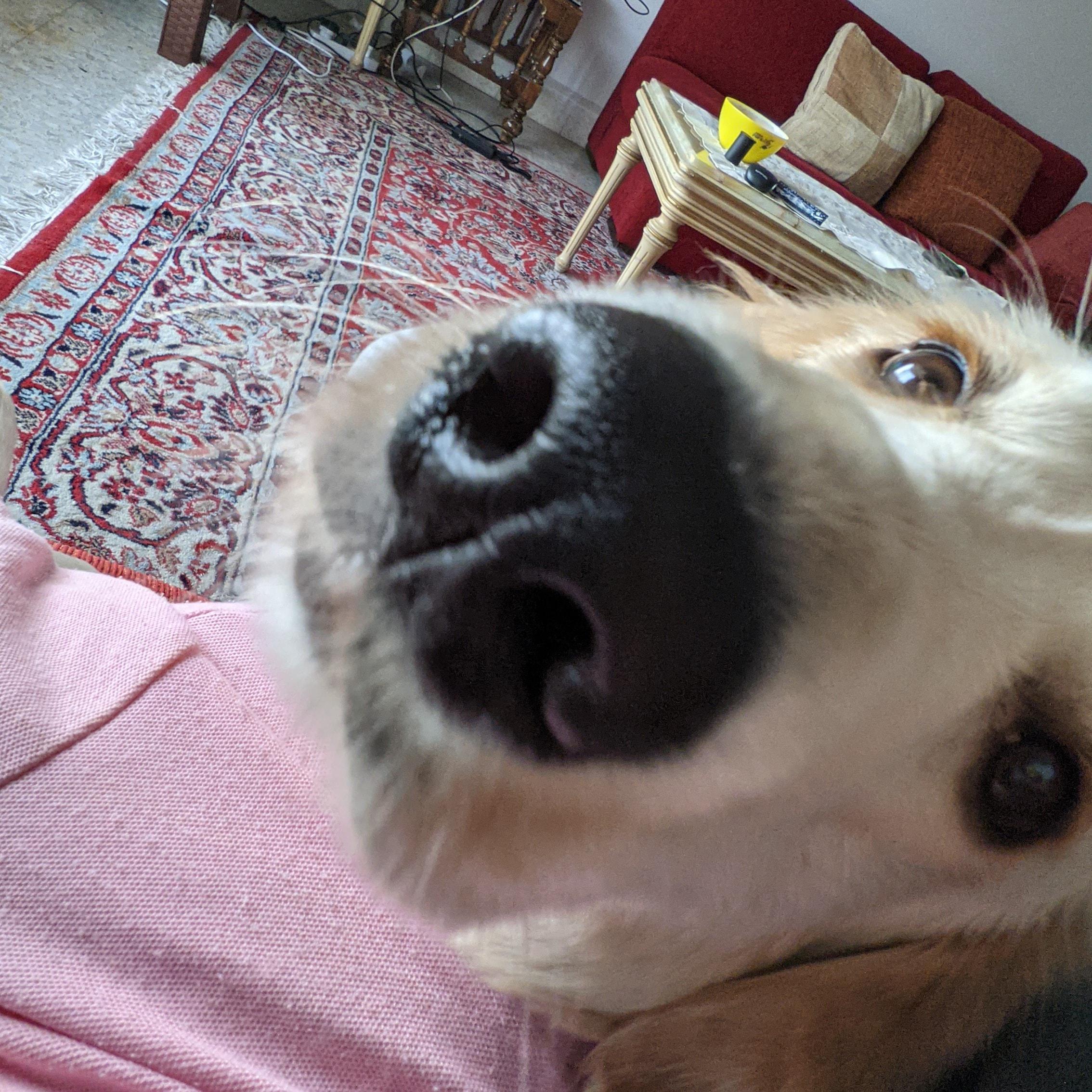 Whats even personal space? | Scrolller