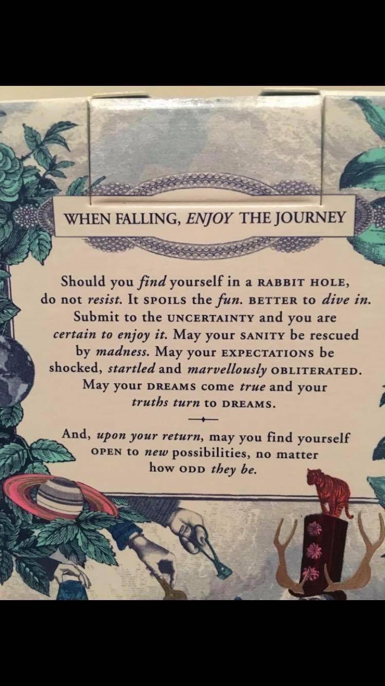 When Falling, Enjoy the Journey | Scrolller