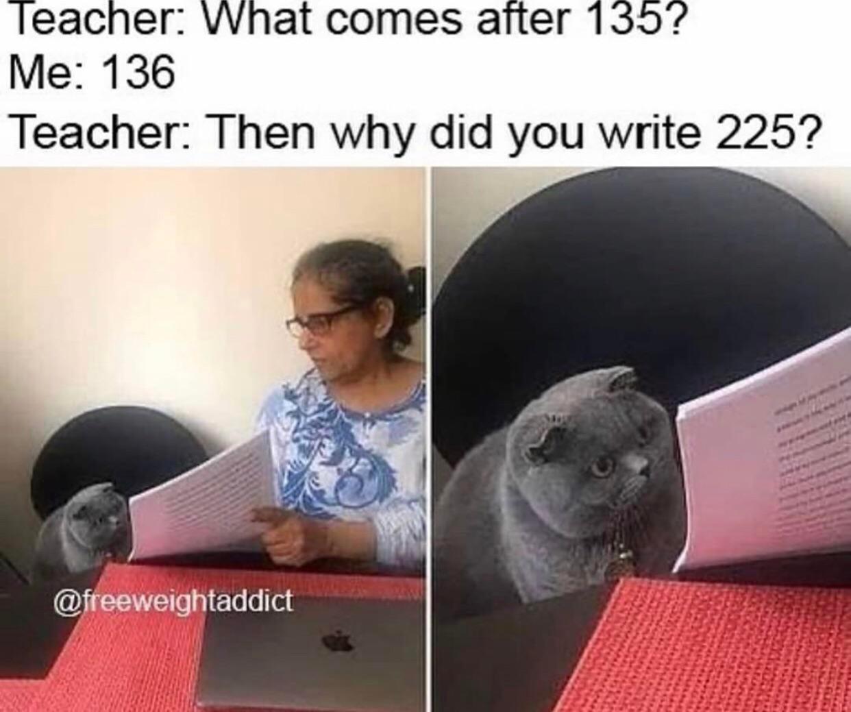 When Meat heads do math | Scrolller