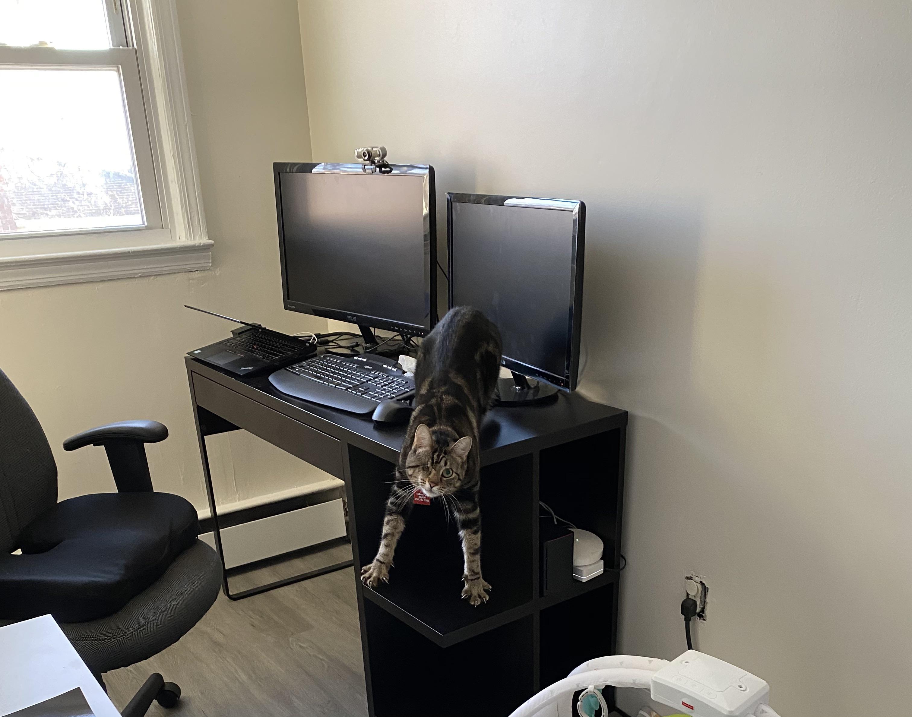 When the boss catches you running late for work... | Scrolller