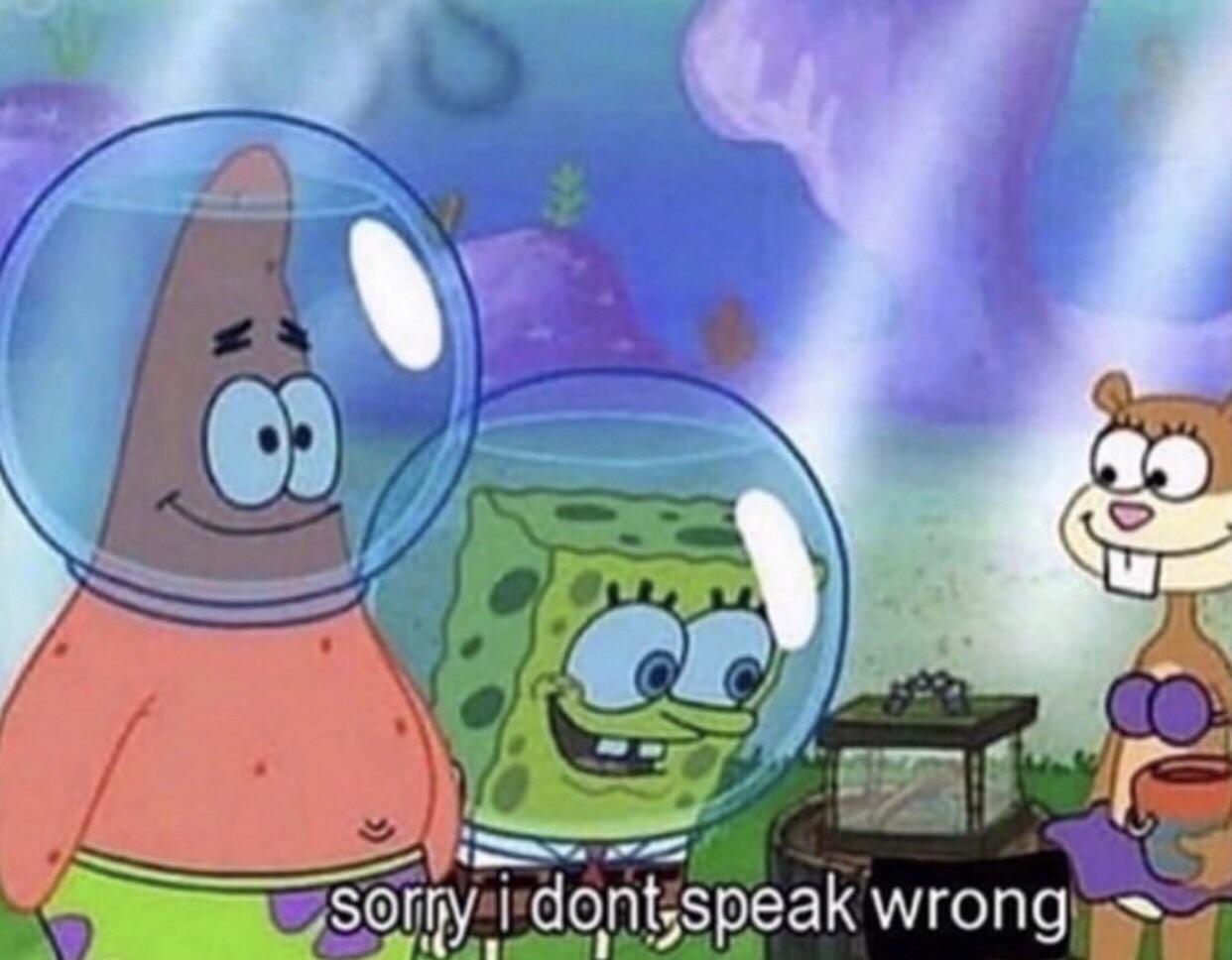 When you want to win an argument | Scrolller