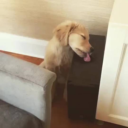 When you're caught being a weirdo | Scrolller