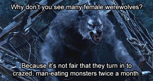 Where are all the she-wolves? | Scrolller