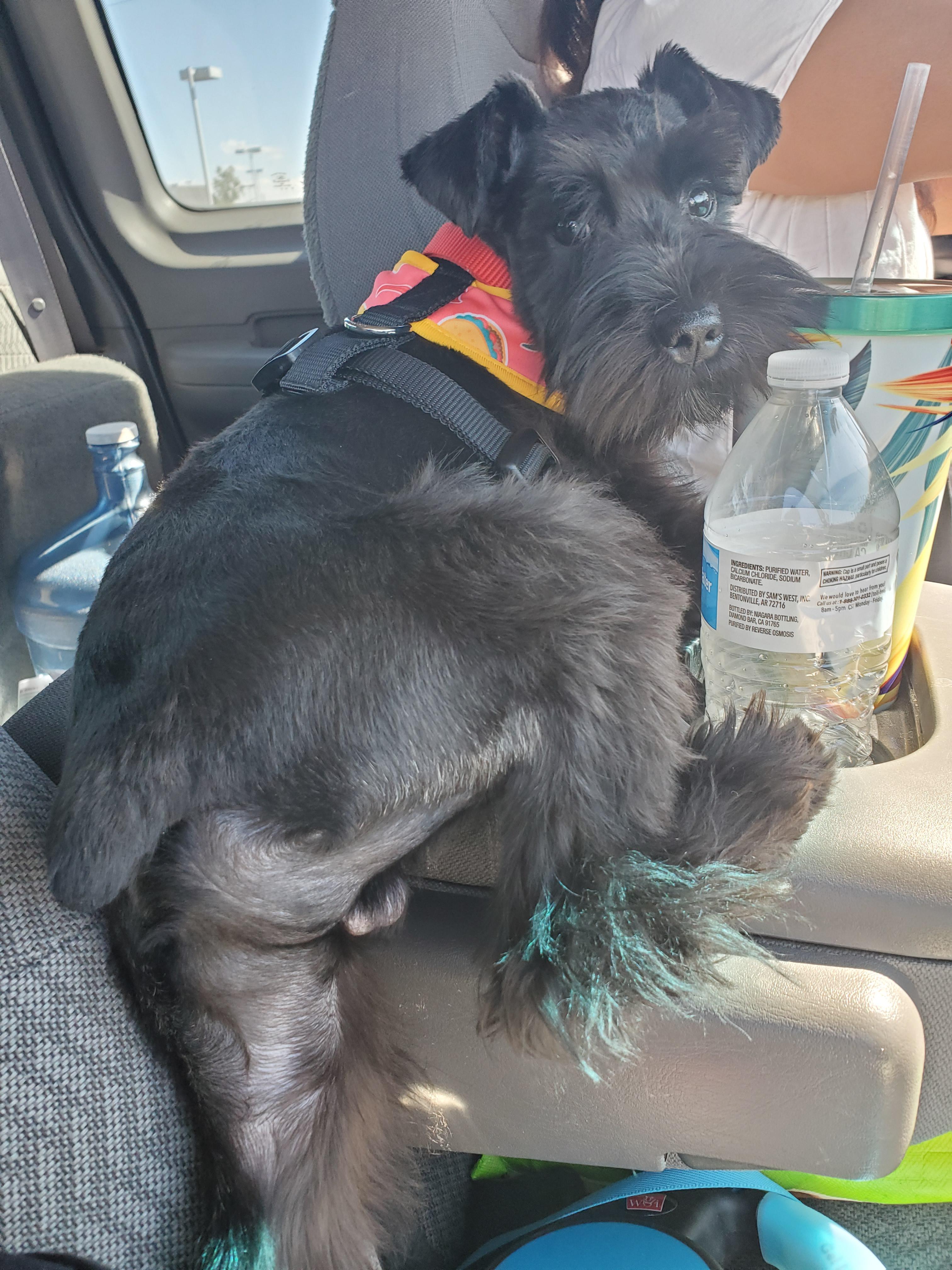 Where Do I Sit Scrolller