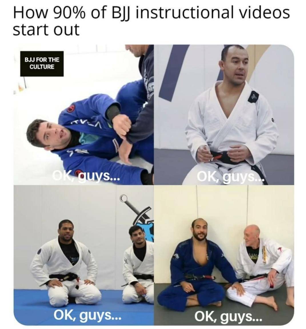 Where is the lie? | Scrolller