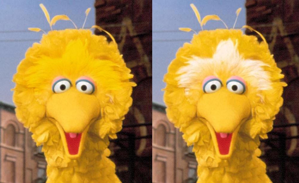 Which Big Bird did you watch on Sesame Street? | Scrolller