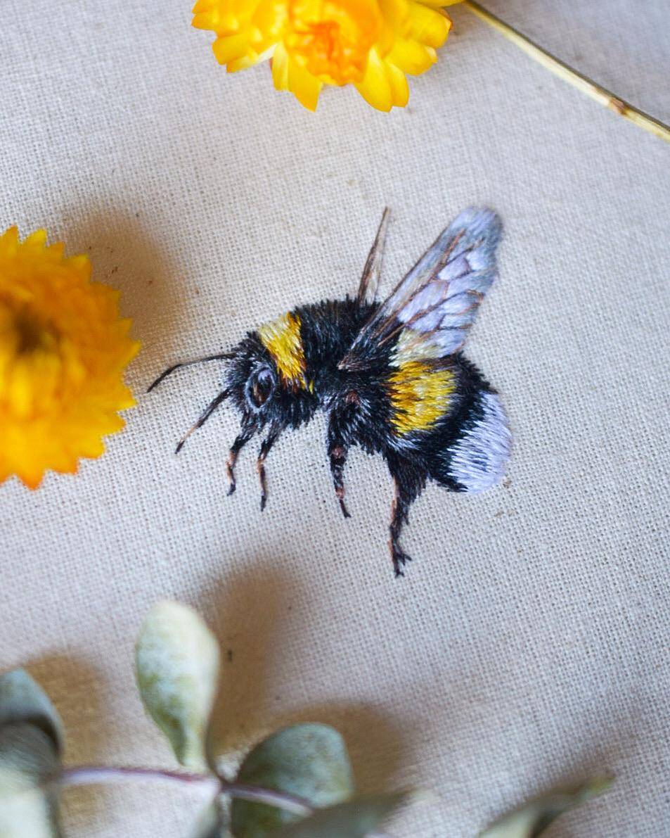 White-tailed Bumblebee | Scrolller