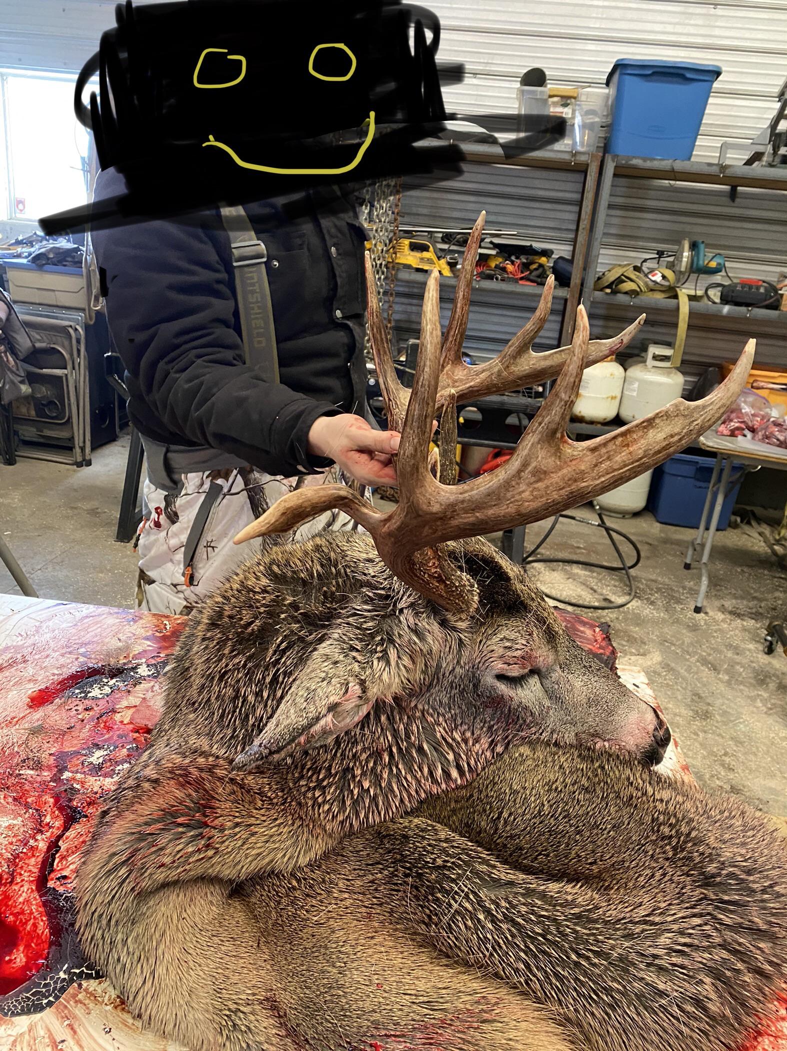 Whitetail down 😃 | Scrolller