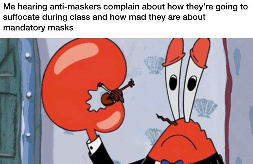 who are the snowflakes now? | Scrolller