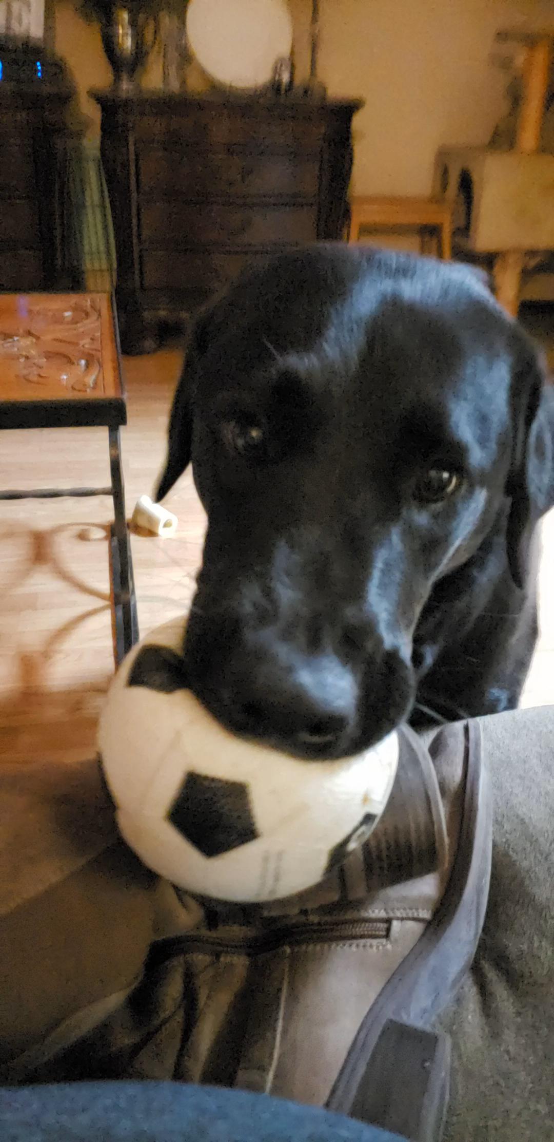 Who can say no to a quick soccer match? | Scrolller