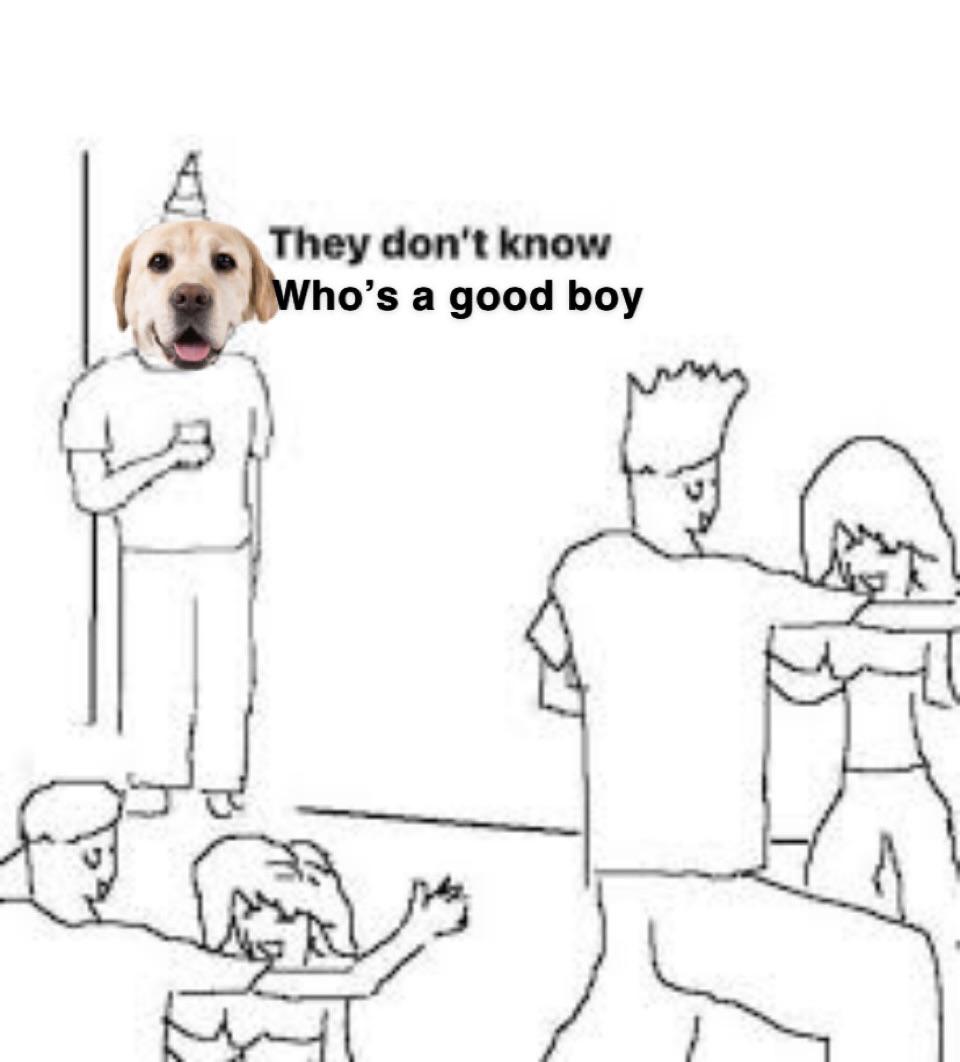 Who’s a good boi | Scrolller